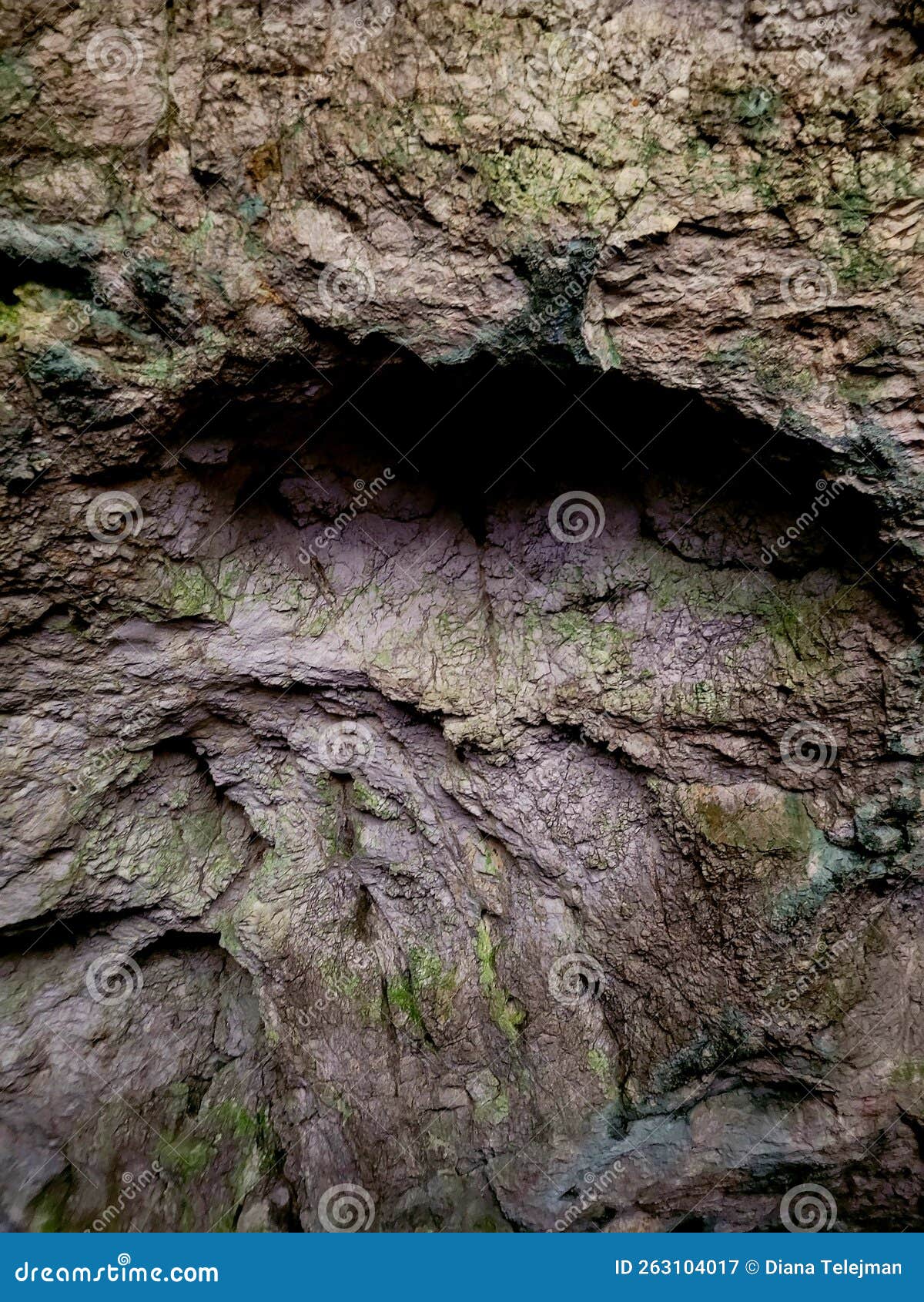 Inside of cave stock image. Image of nature, cave, green - 263104017