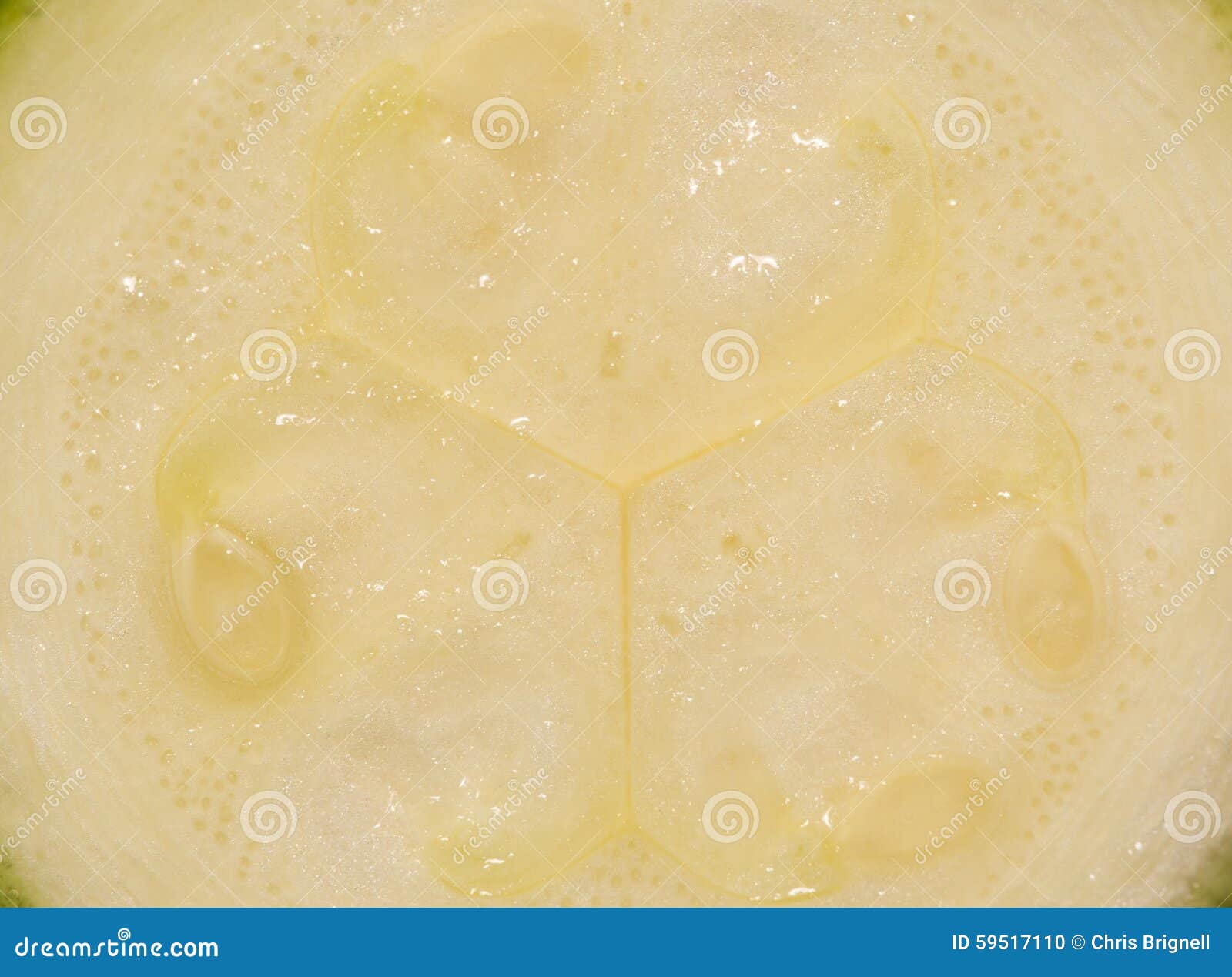 Inside Courgette Abstract Stock Photos - Free & Royalty-Free Stock ...