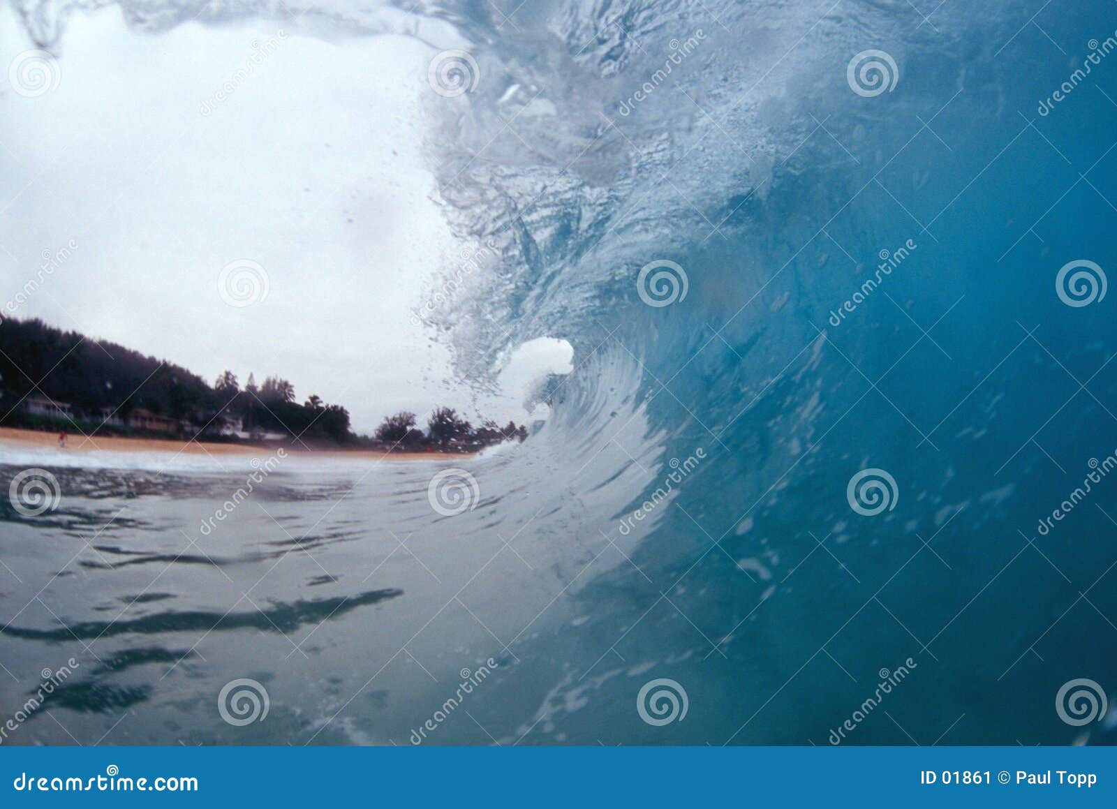 Inside a Curling Wave stock image. Image of outdoor, nalukai - 1861