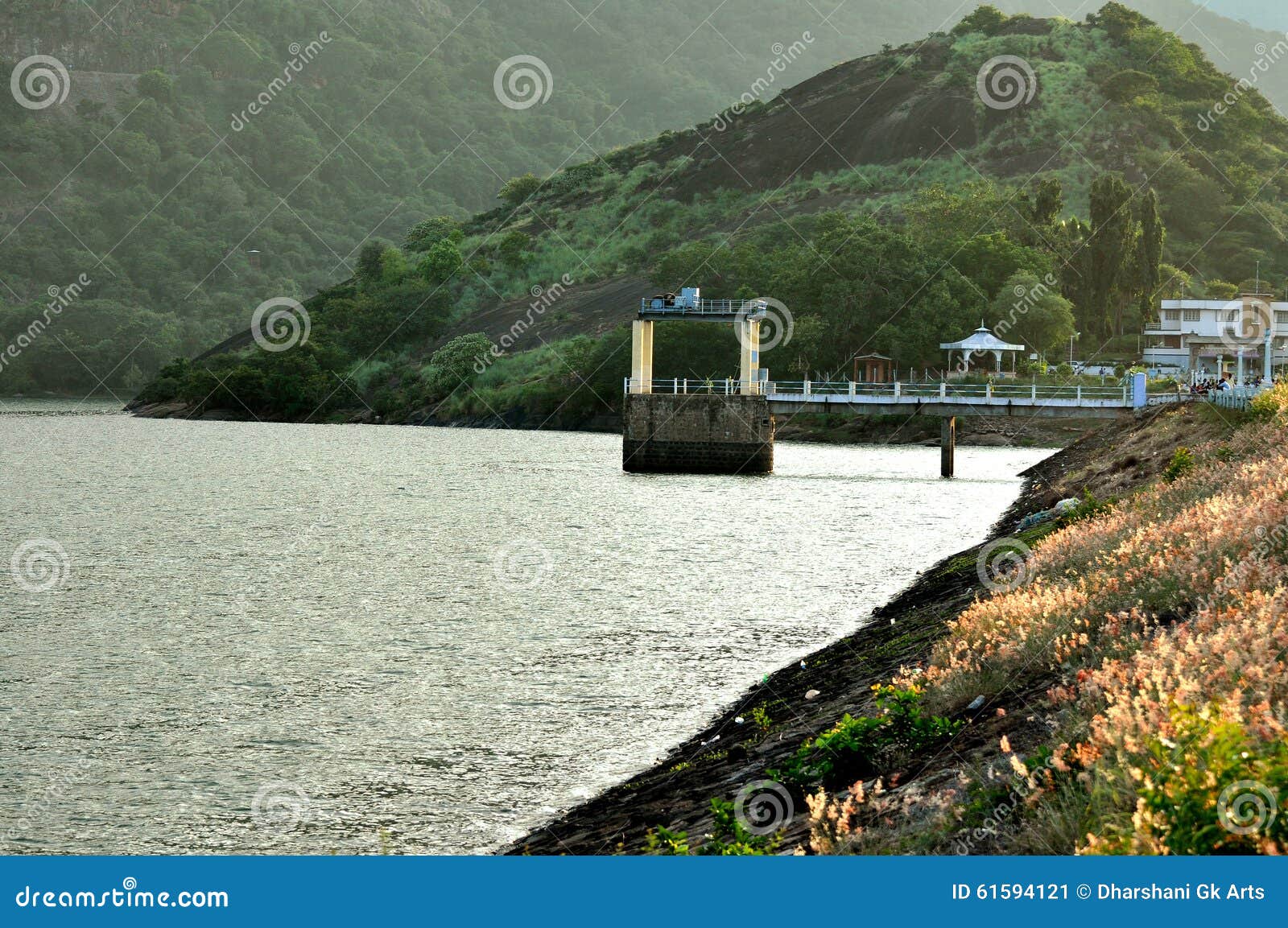 Inside dam in aliyar stock image. Image of forest, agriculture - 61594121
