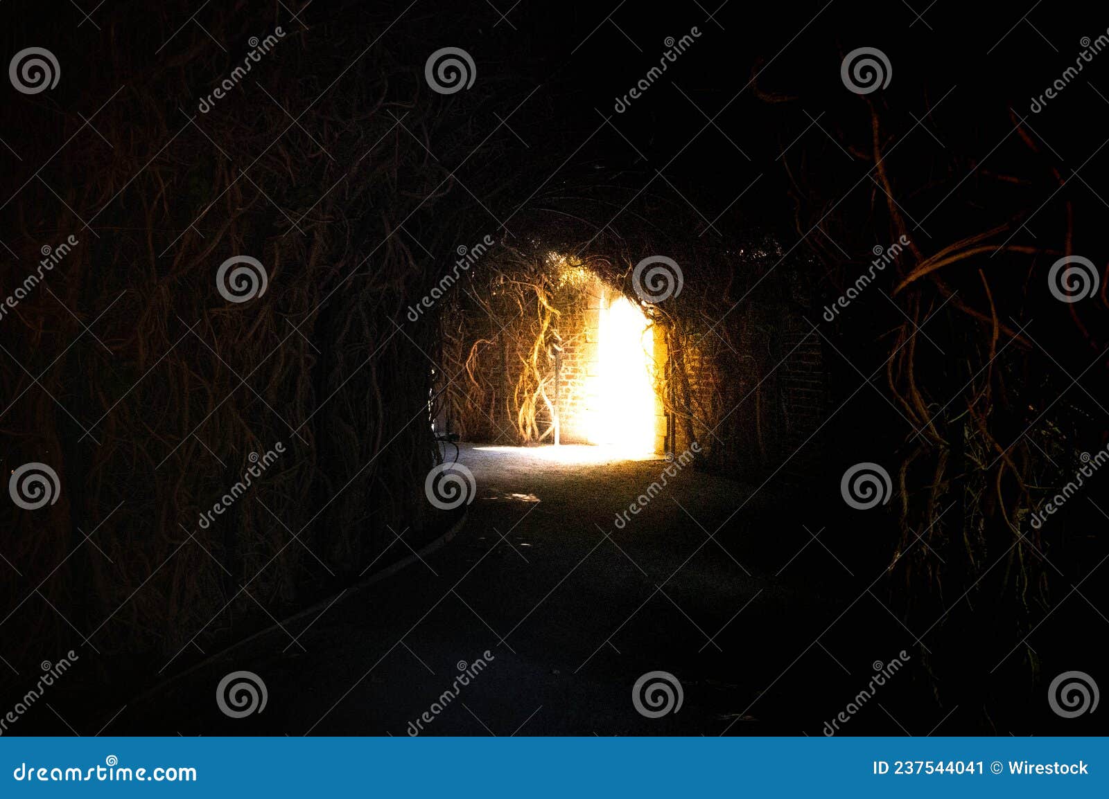 Inside of a dark cave stock image. Image of nature, cave - 237544041