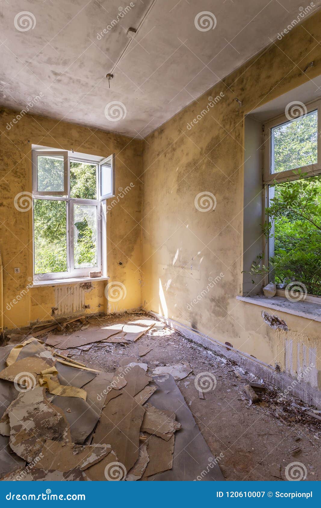 Inside the destroyed house stock image. Image of forest - 120610007