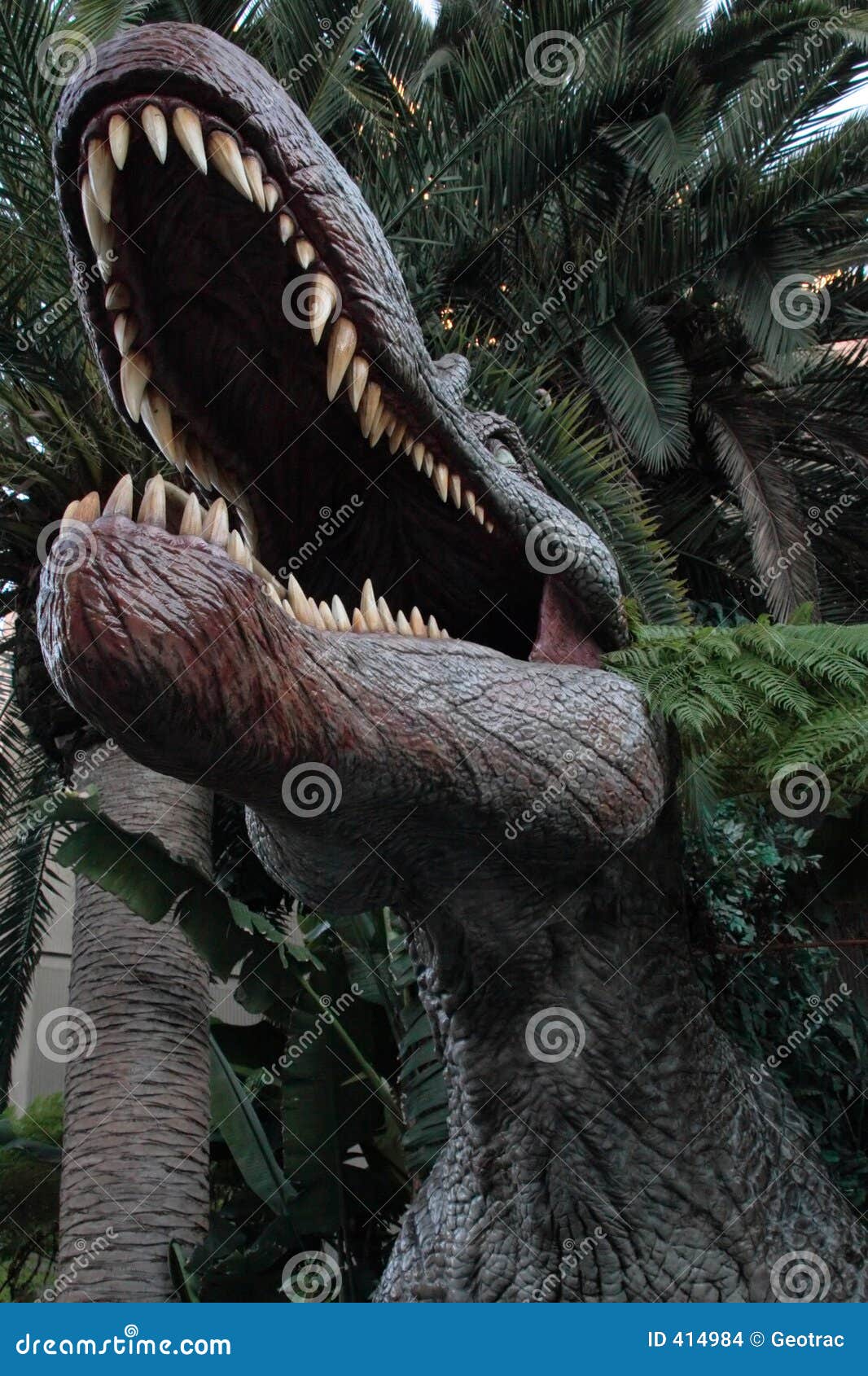 Inside a Dinosaurs Huge Mouth Stock Photo - Image of carnosaur ...