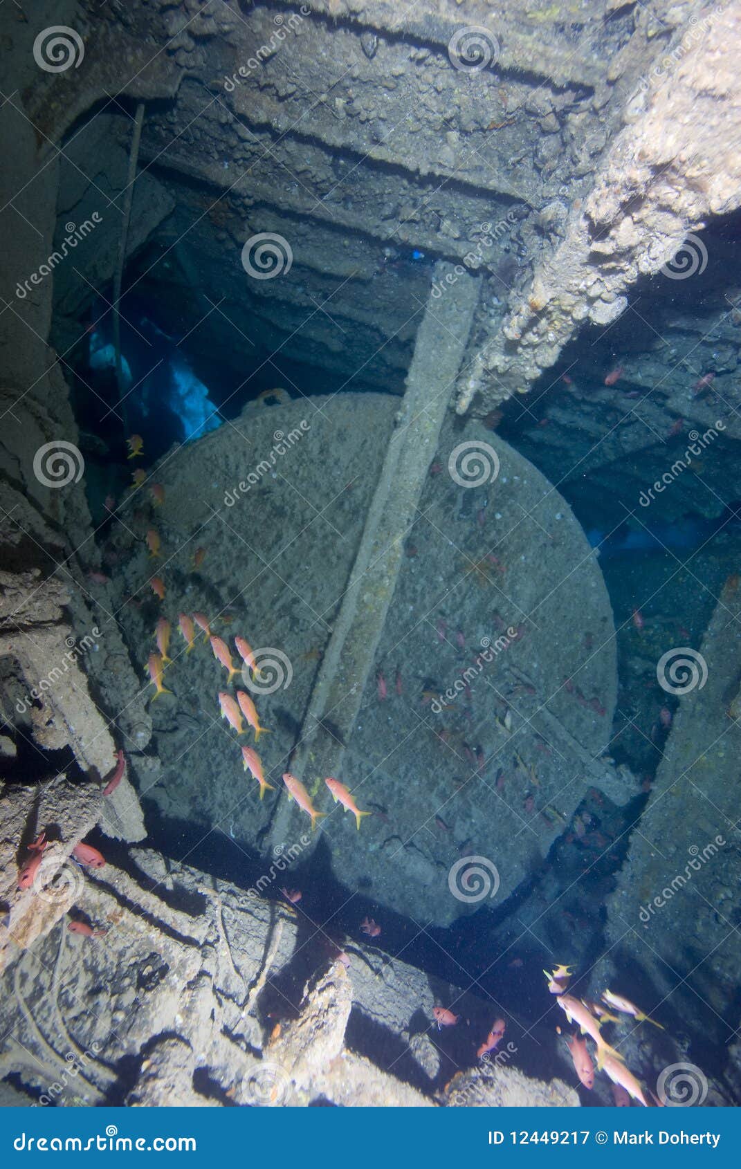 Inside the dunraven stock image. Image of tropical, wide - 12449217