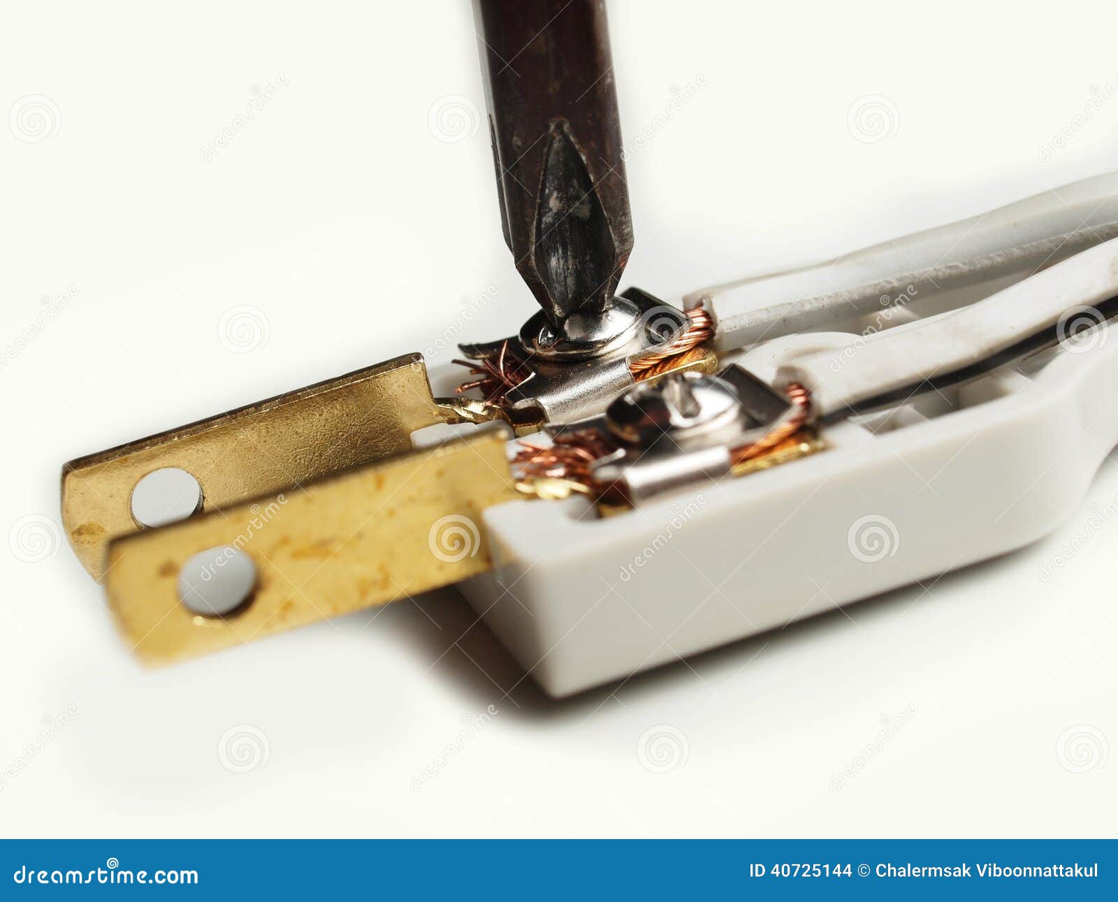 Inside electrical plug stock photo. Image of isolated - 40725144