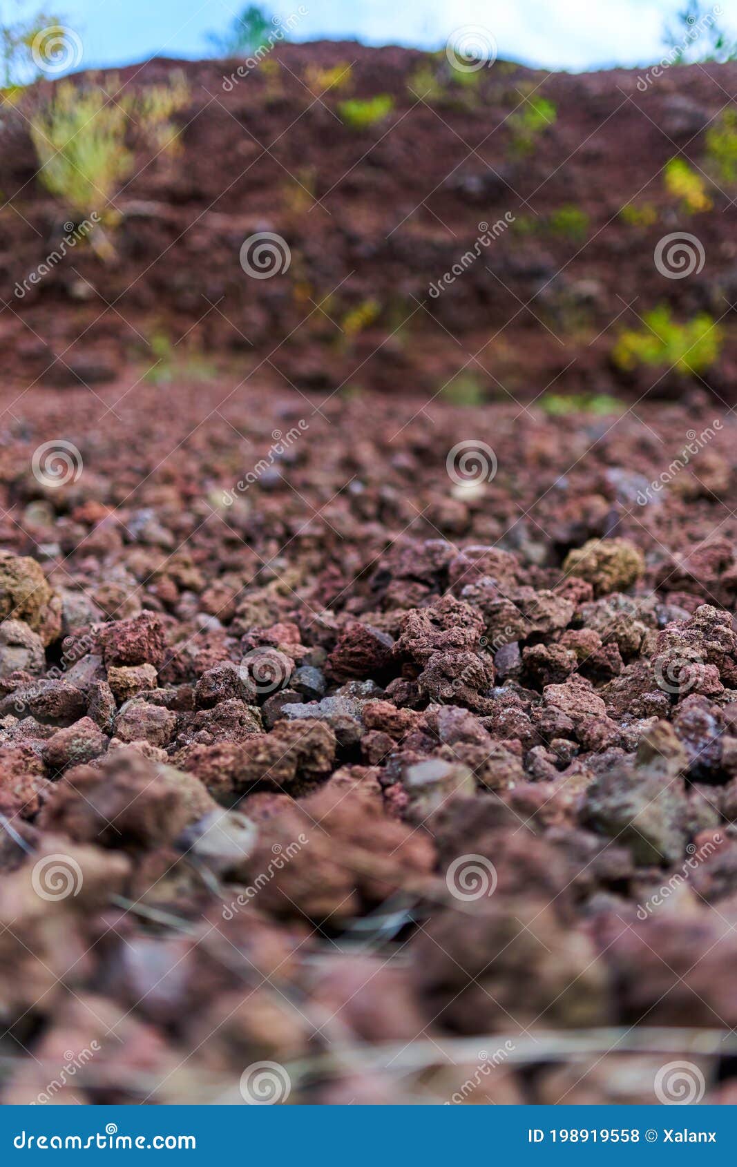 Inside an extinct volcano stock photo. Image of extinct - 198919558
