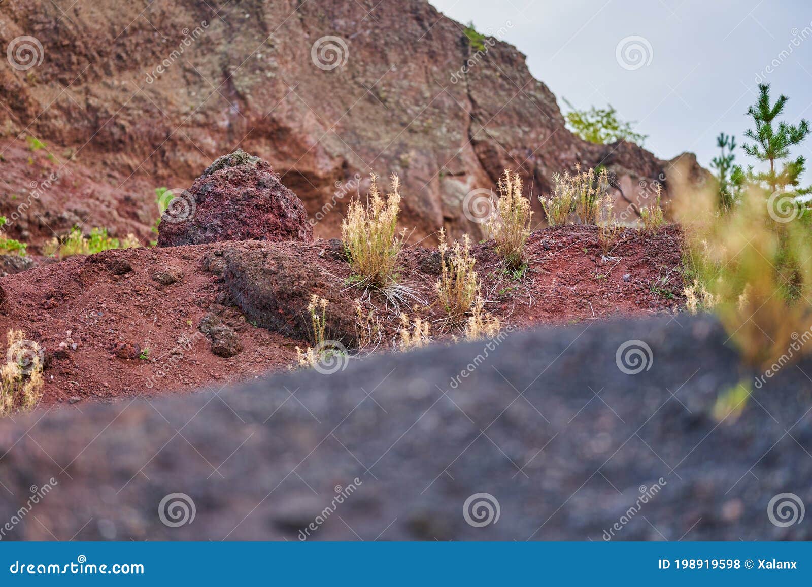 Inside an extinct volcano stock photo. Image of depression - 198919598