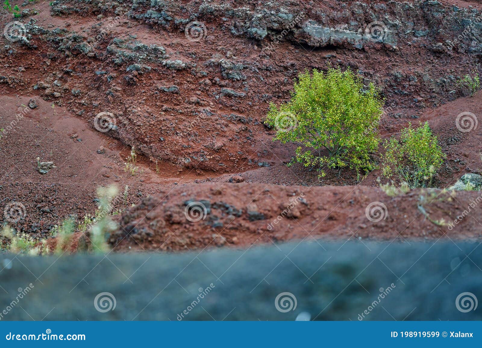 Inside an extinct volcano stock image. Image of crater - 198919599