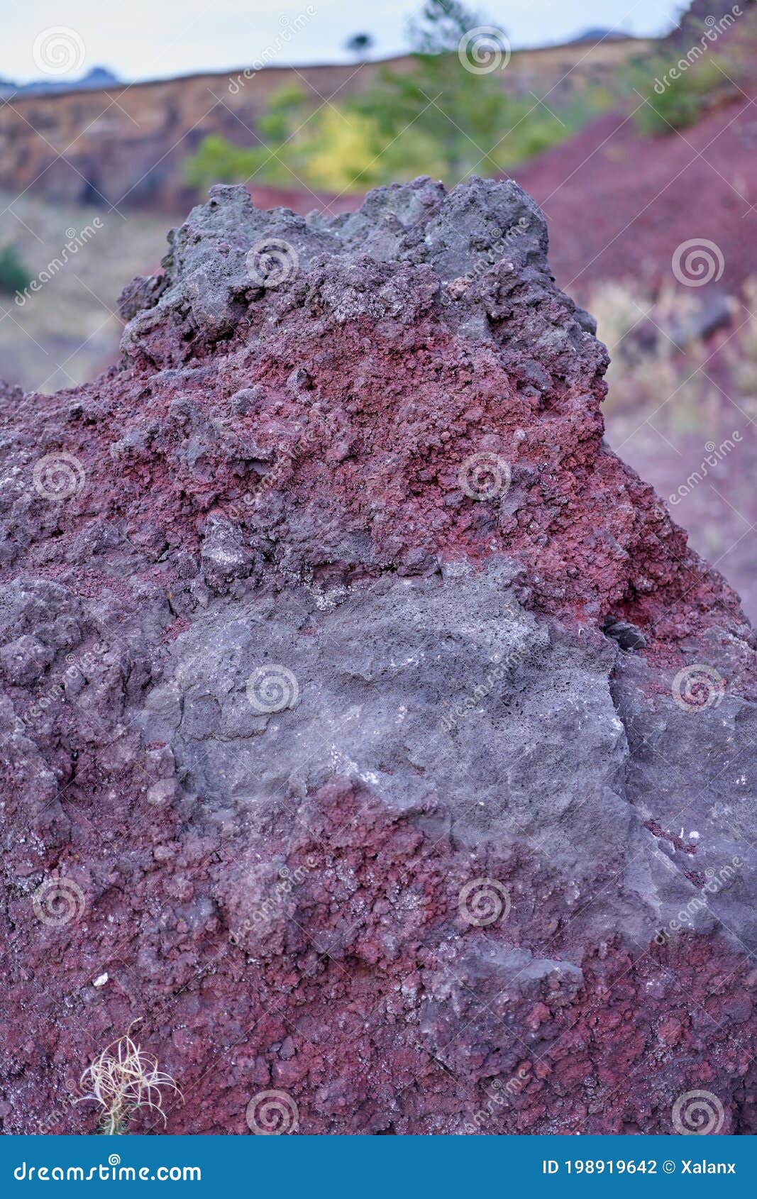 Inside an extinct volcano stock photo. Image of colorful - 198919642