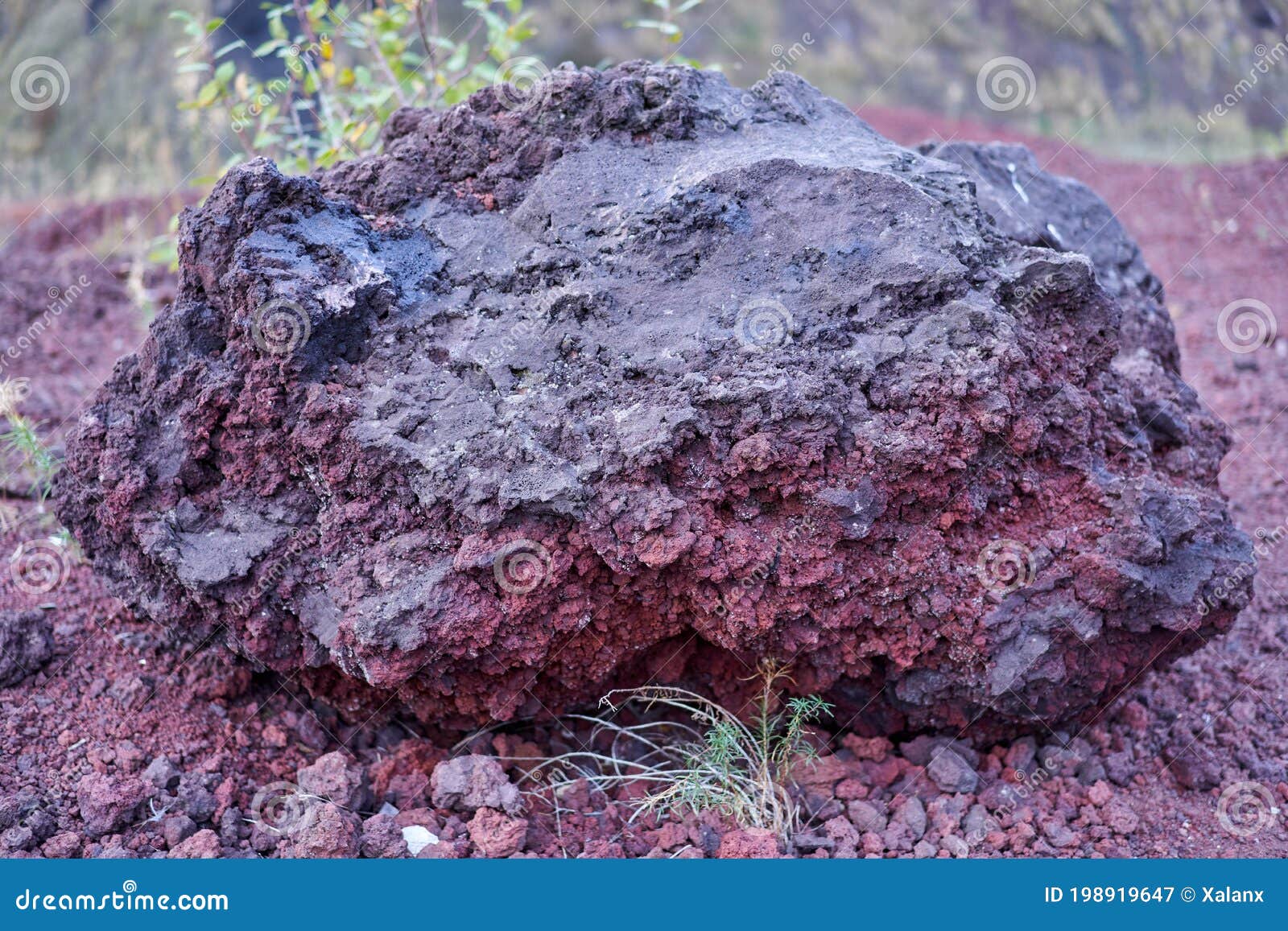 Inside an extinct volcano stock image. Image of nature - 198919647
