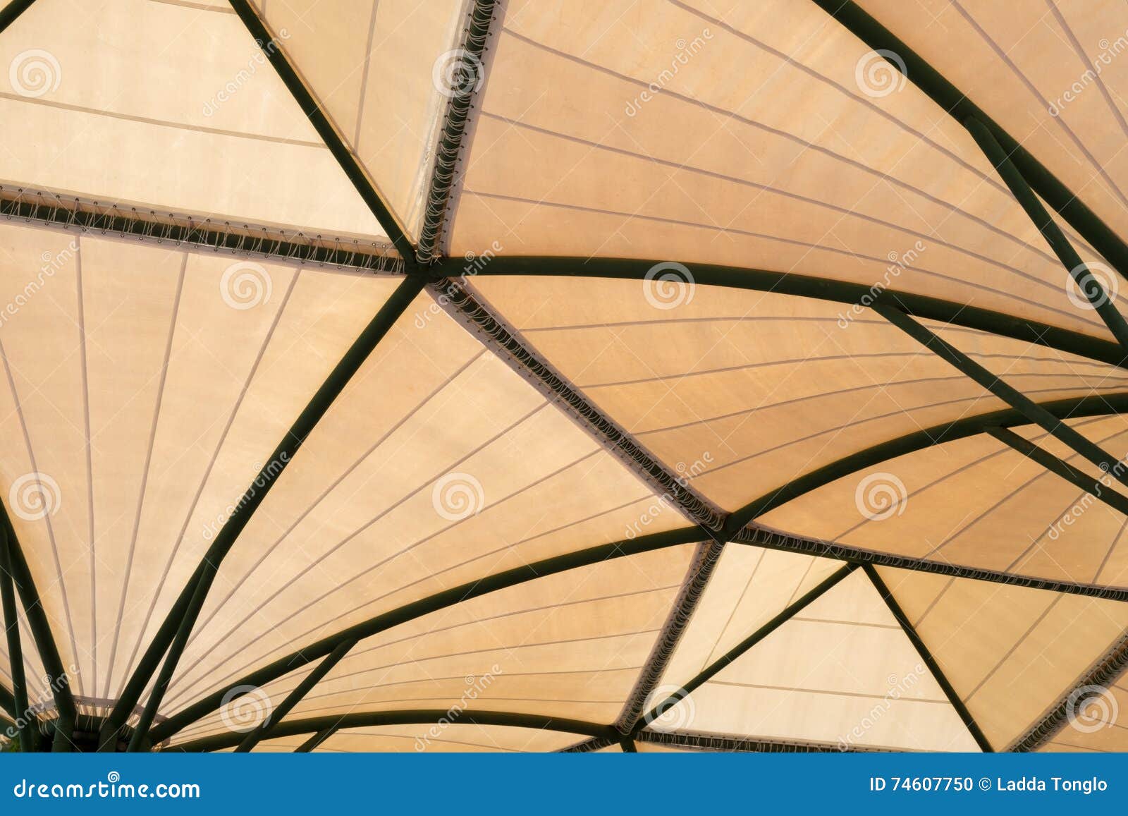 Inside of Fabric Roof Structure Stadium with Plant in Metal Structure ... Inside of Fabric Roof Structure Stadium with Plant in Metal Structure ...