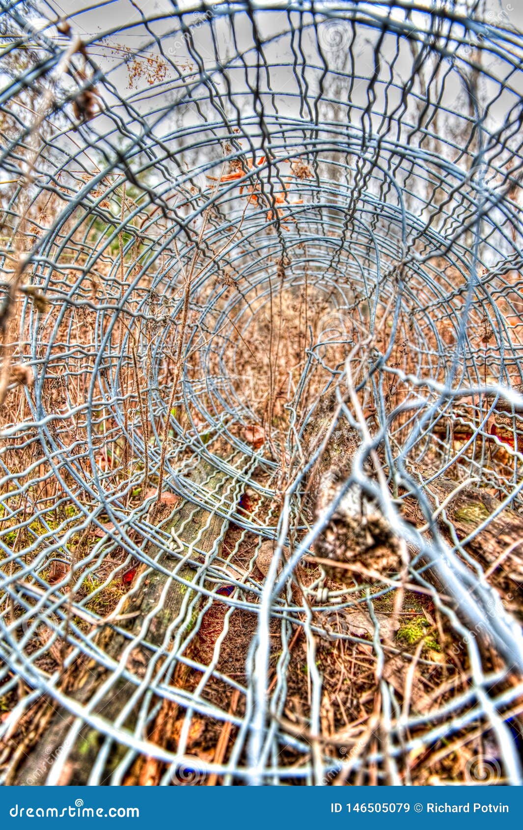 Inside a fence roll stock image. Image of protection - 146505079