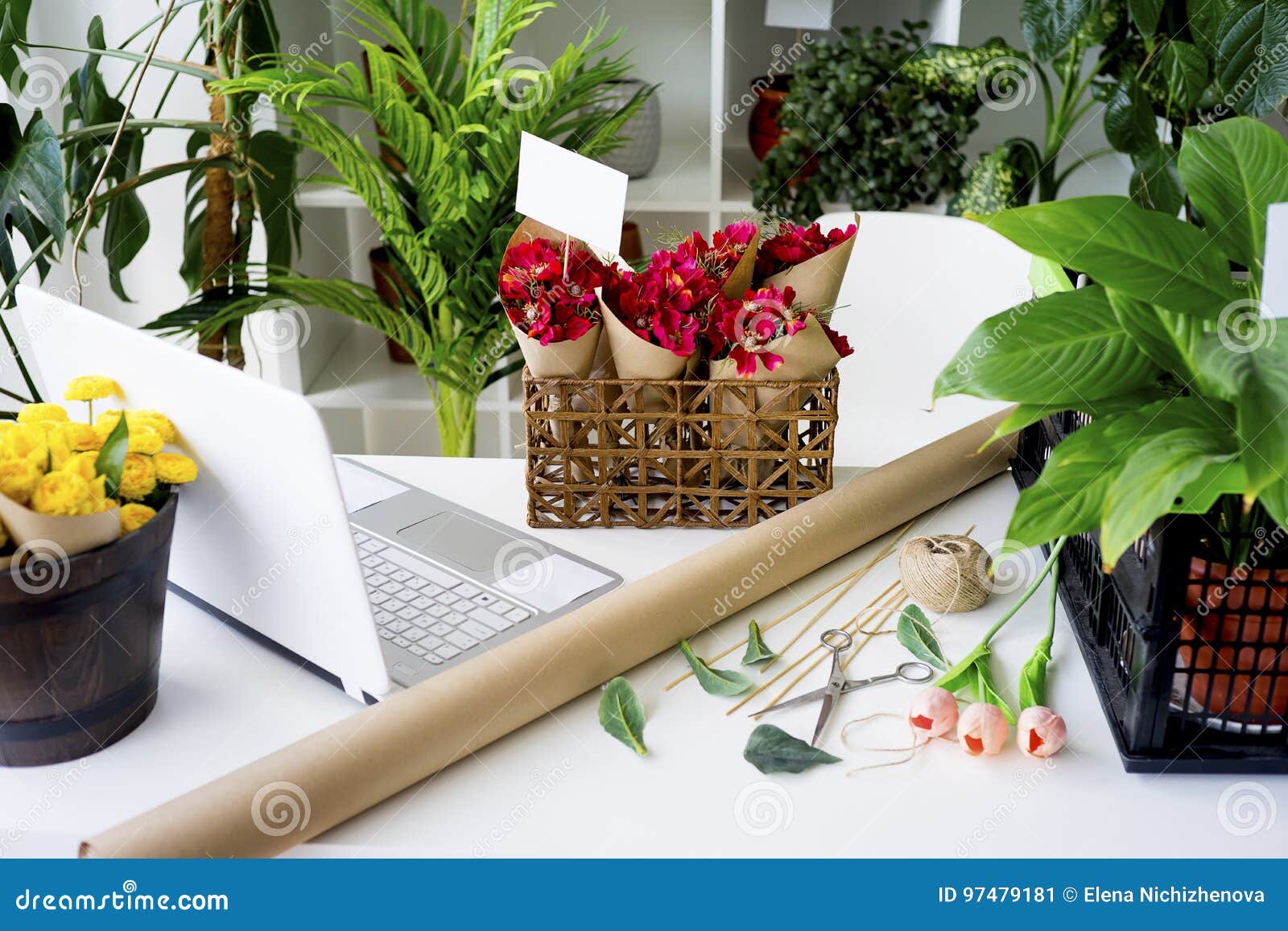 Inside a florist shop stock image. Image of vase, plant - 97479181