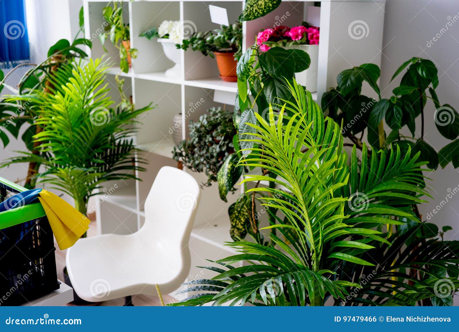 Inside a florist shop stock photo. Image of retail, floristry - 97479466