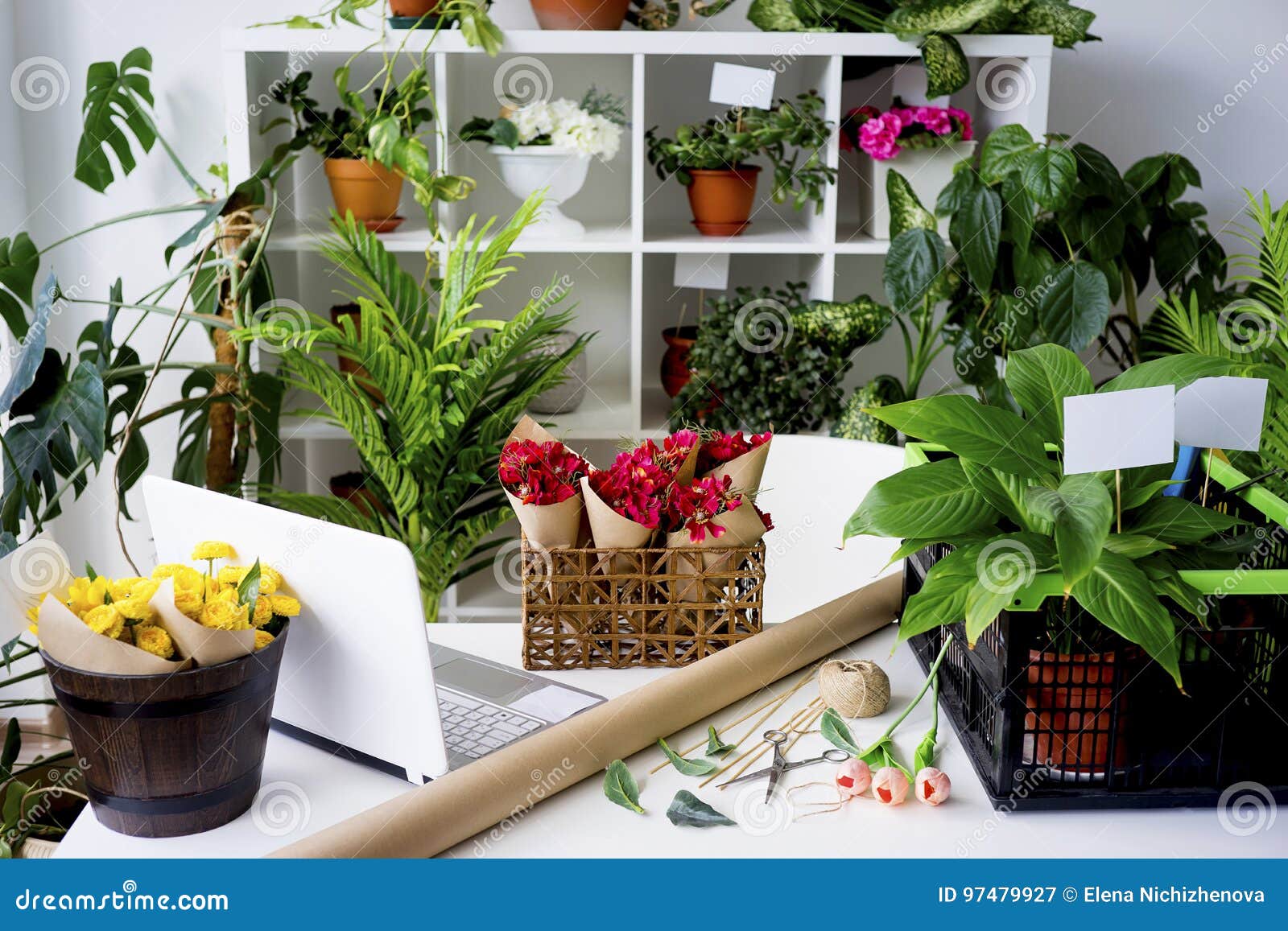 Inside a florist shop stock image. Image of business - 97479927