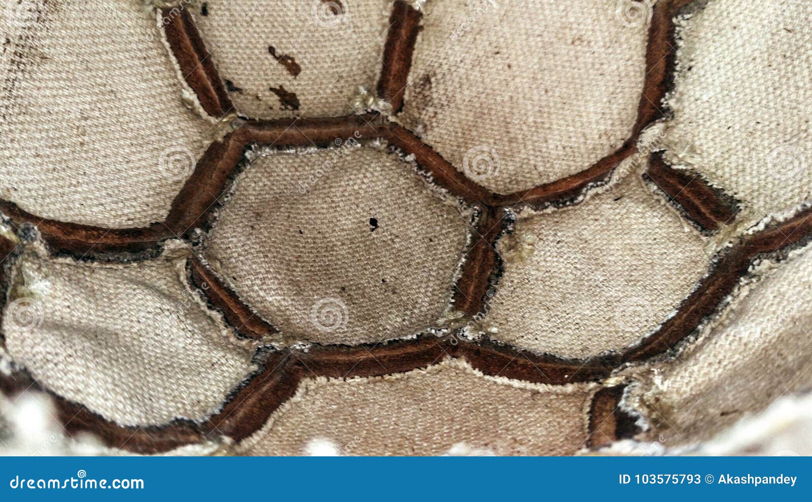 Inside football stock image. Image of colour, underline - 103575793