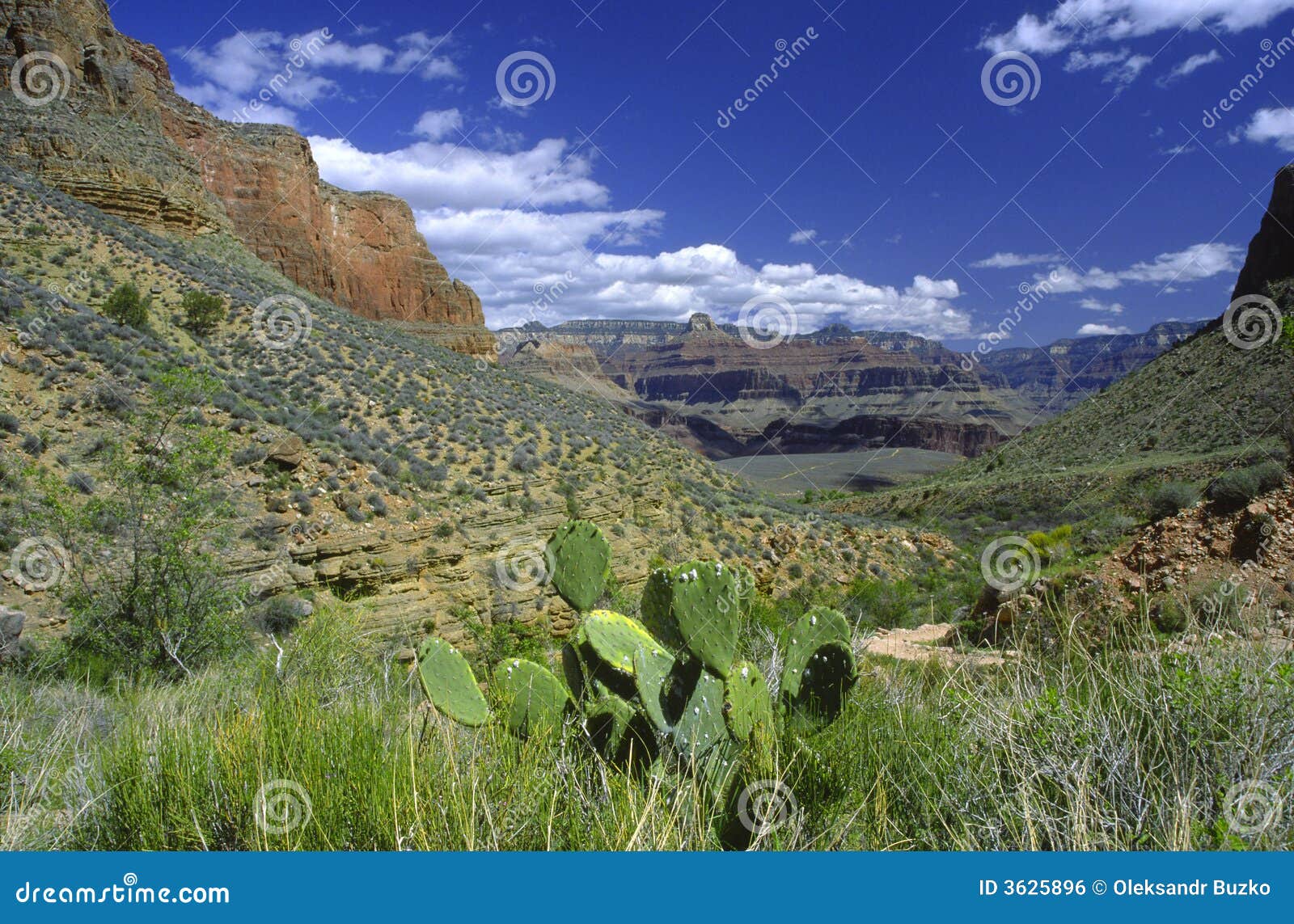 Inside the Grand Canyon stock photo. Image of arid, extreme - 3625896
