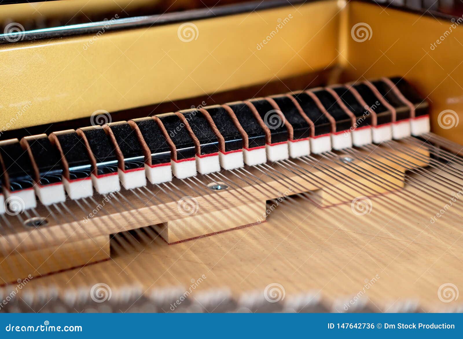 Inside of the Grand Piano. stock photo. Image of inside - 147642736