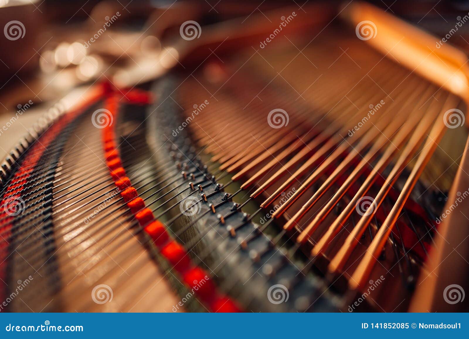 Inside Grand Piano, Strings Closeup, Nobody Stock Image - Image of ...