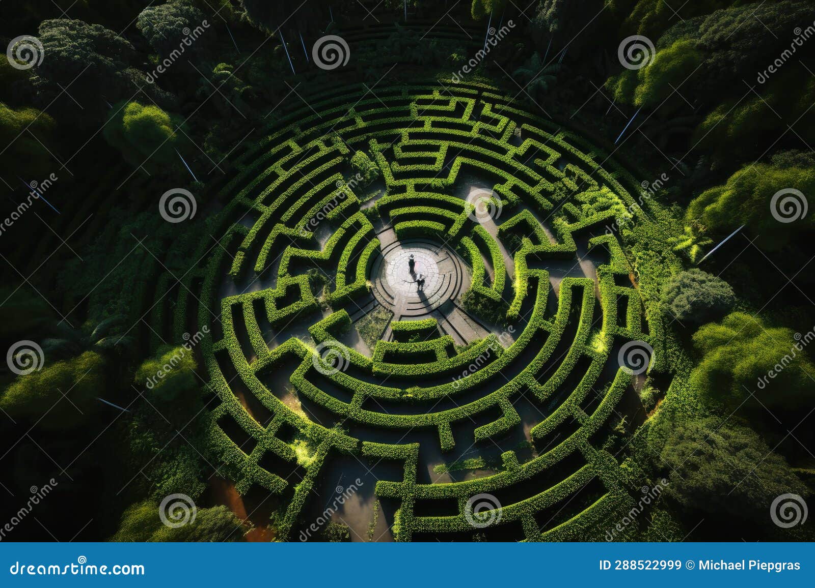 Inside a Green Maze Aerial View Stock Illustration - Illustration of ...