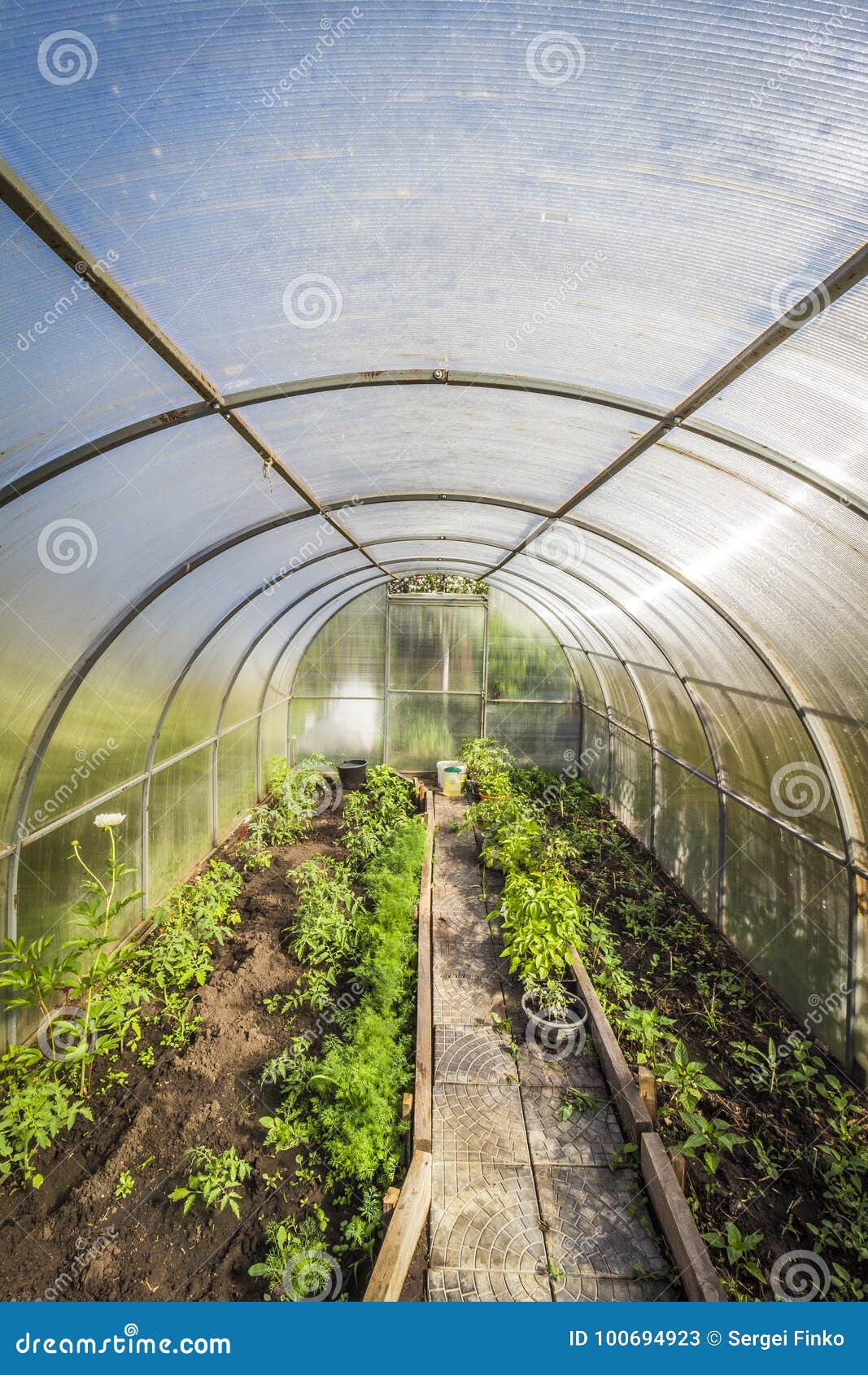 Inside the greenhouse stock image. Image of experiment - 100694923