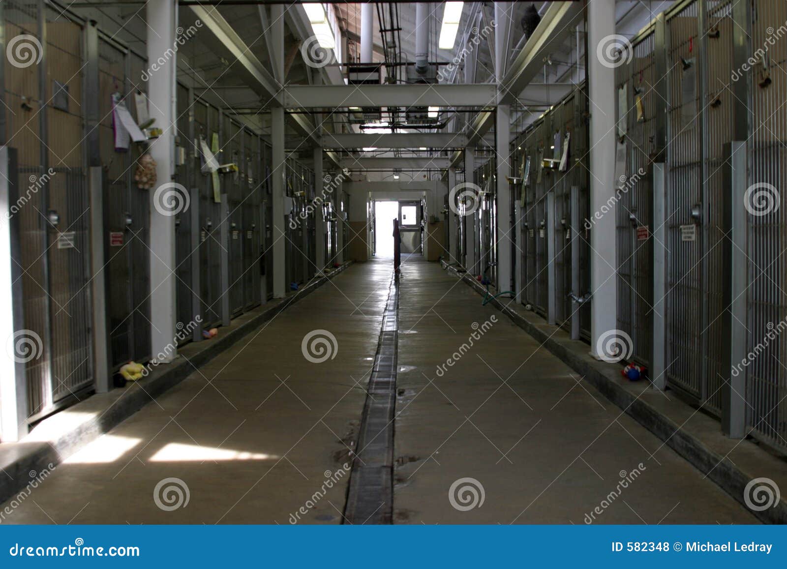 Inside the Hallway of an Animal Shelter Showing Cages Stock Photo ...