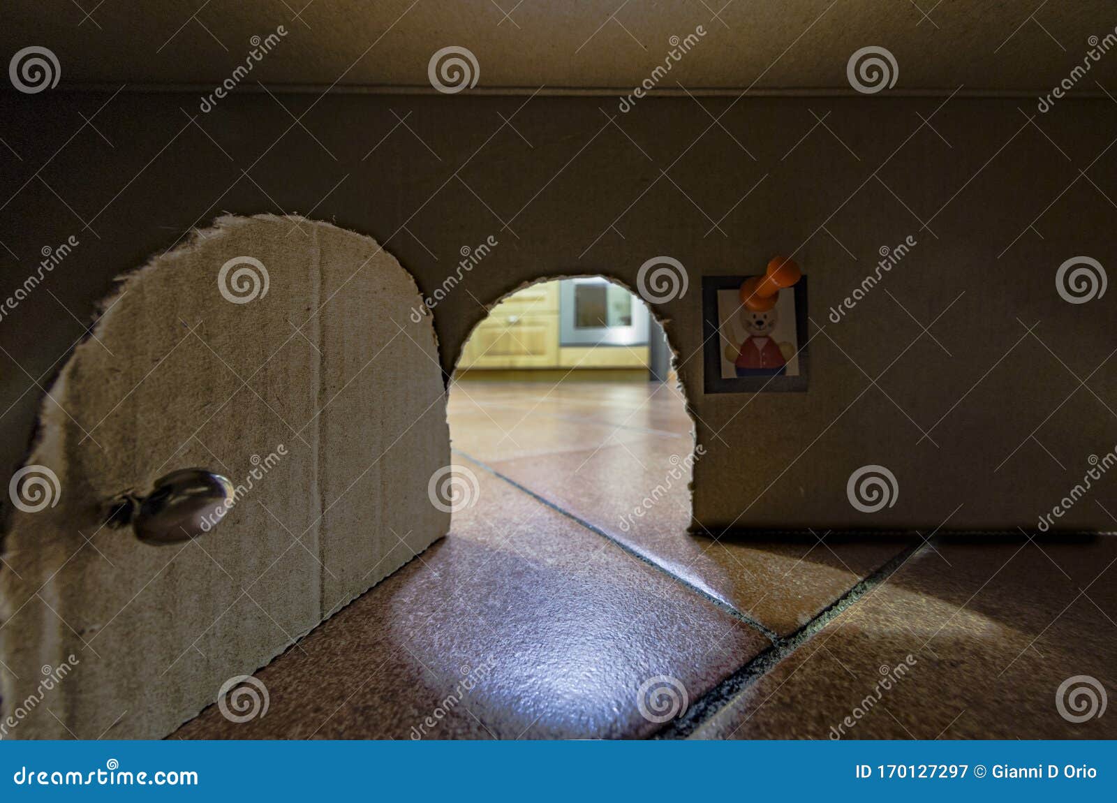 Inside the Hole Mouse at Home Stock Image - Image of door, concept ...