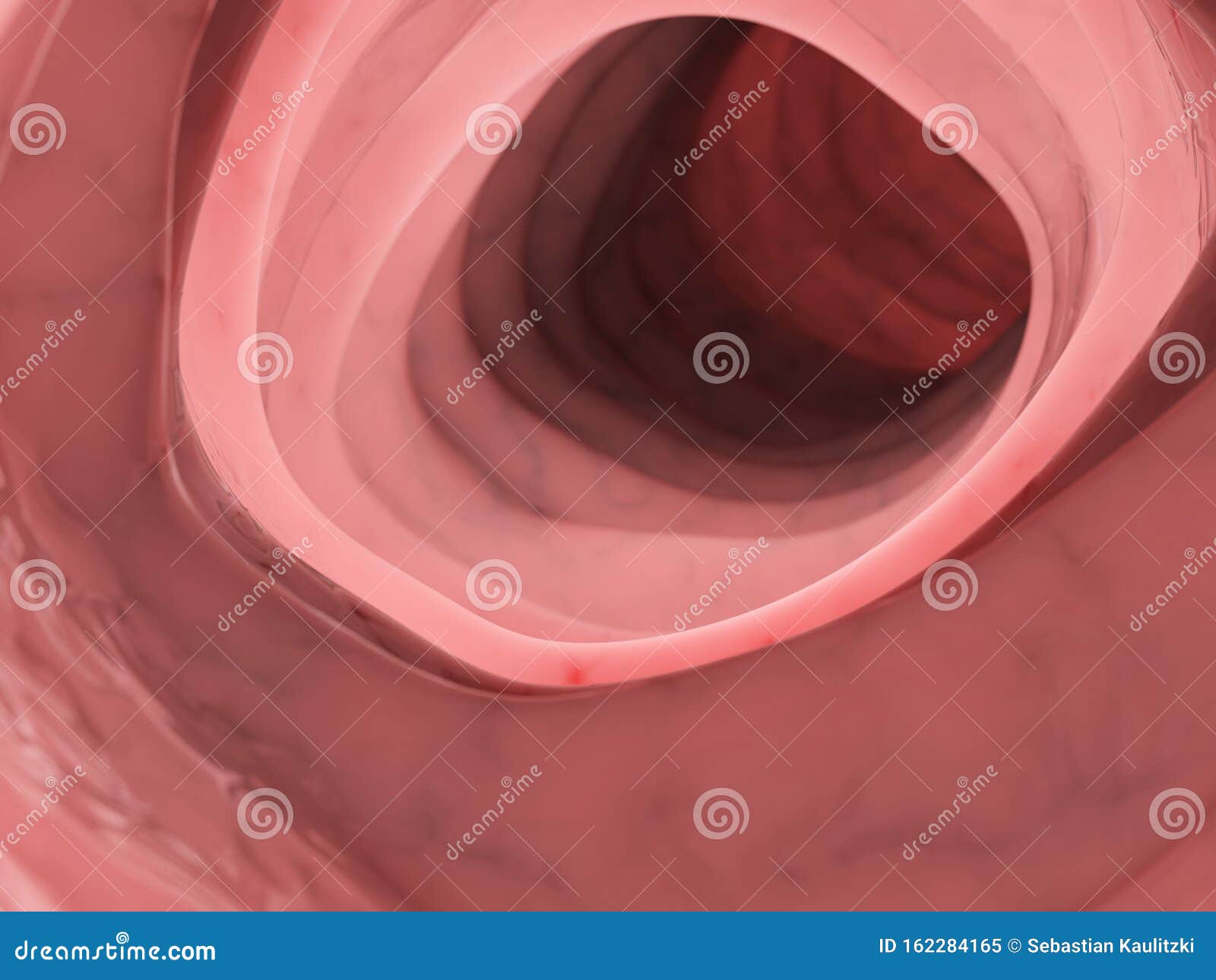 The Inside of the Human Colon Stock Illustration - Illustration of ...