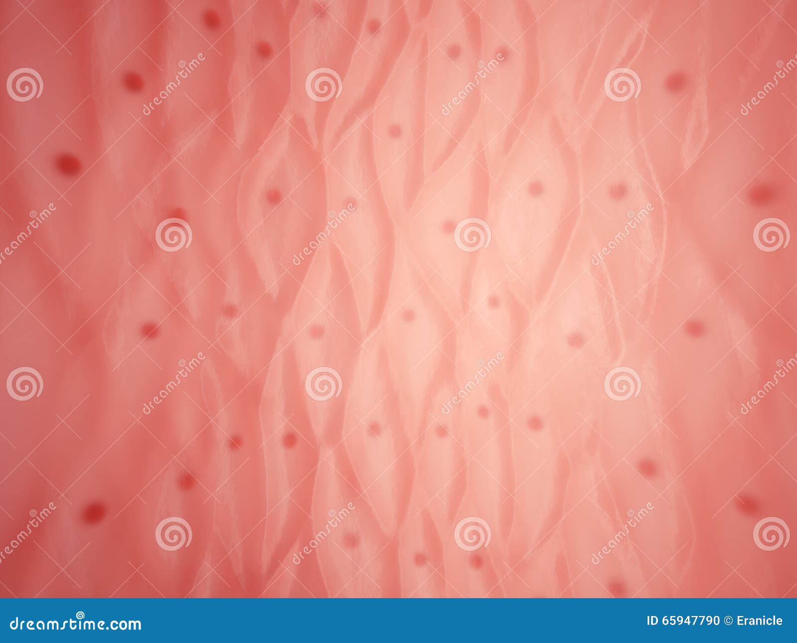 Inside of human vessel stock illustration. Illustration of nucleus ...
