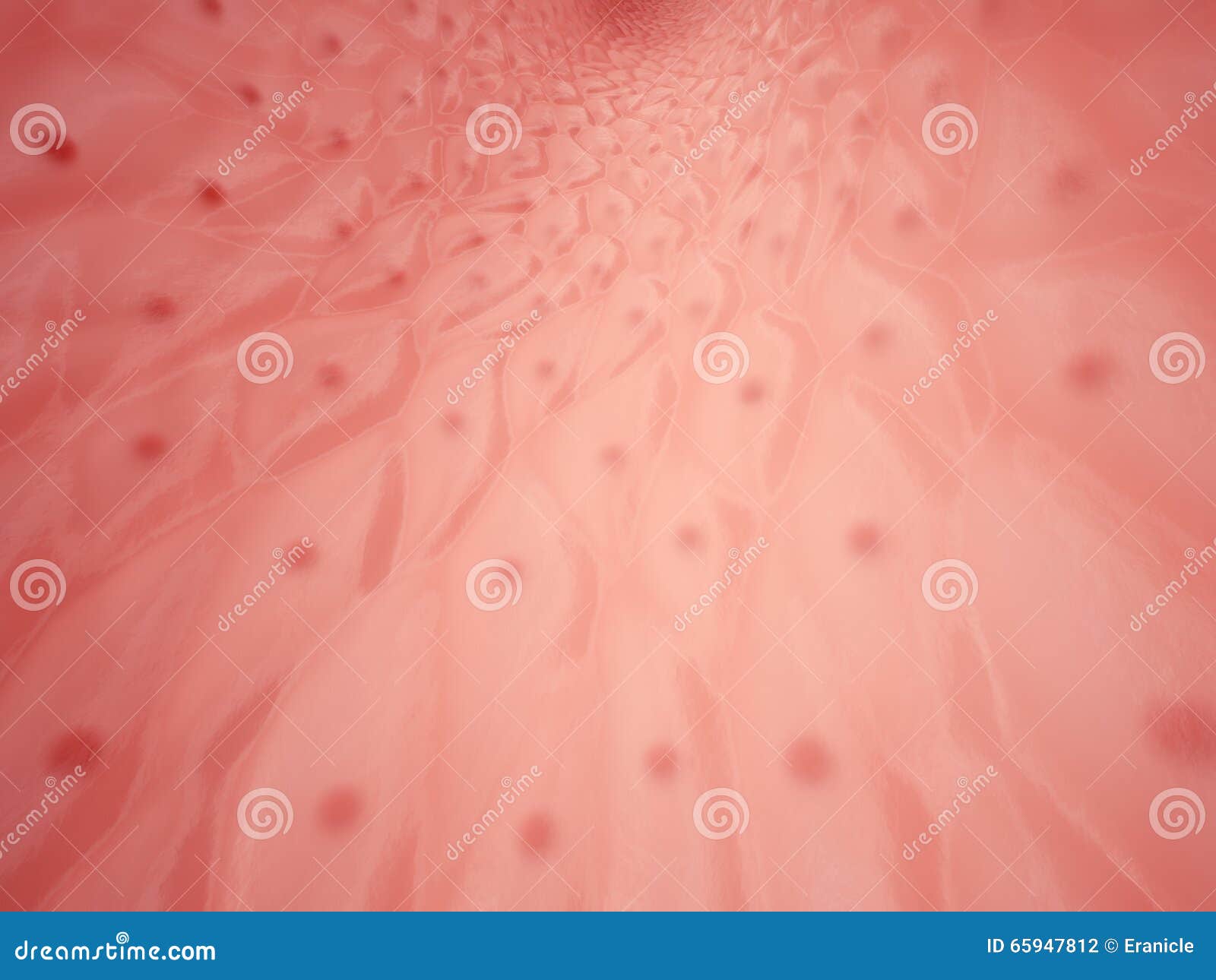 Inside of human vessel stock illustration. Illustration of plasma ...