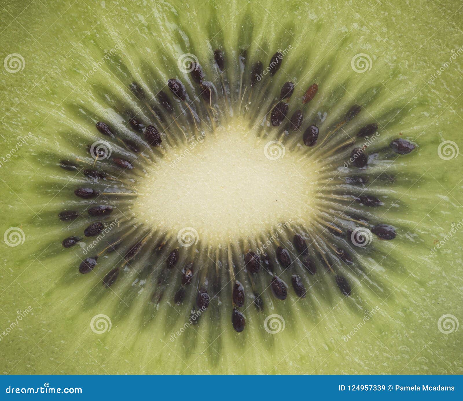 Inside a Kiwi Fruit stock image. Image of background - 124957339