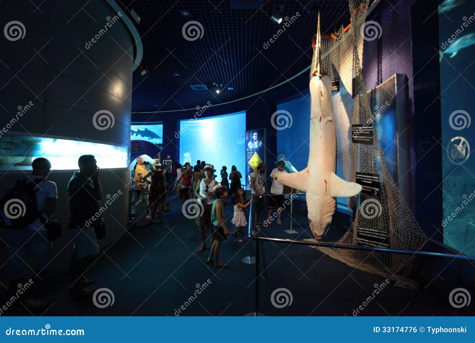 Inside of L Oceanografic Aquarium Editorial Photo - Image of shark ...