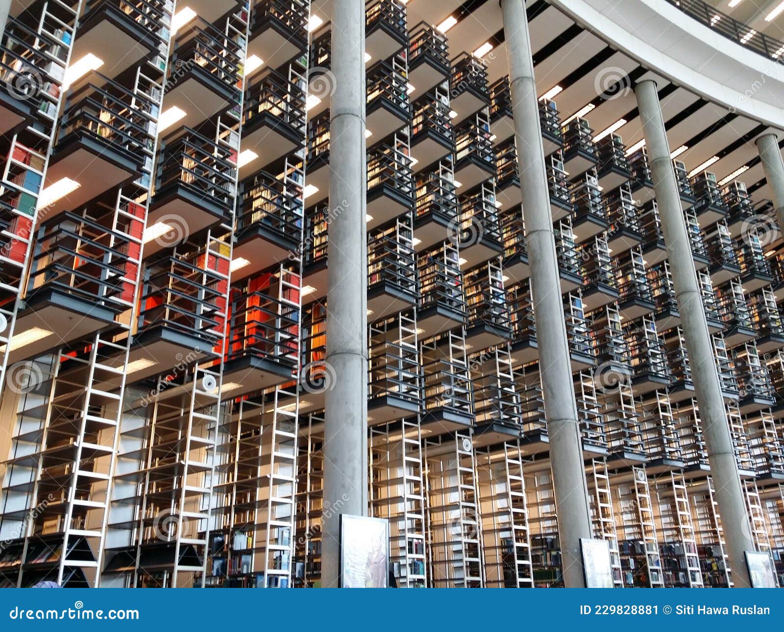Inside a Library with Books and the Shelfs Stock Image - Image of ...