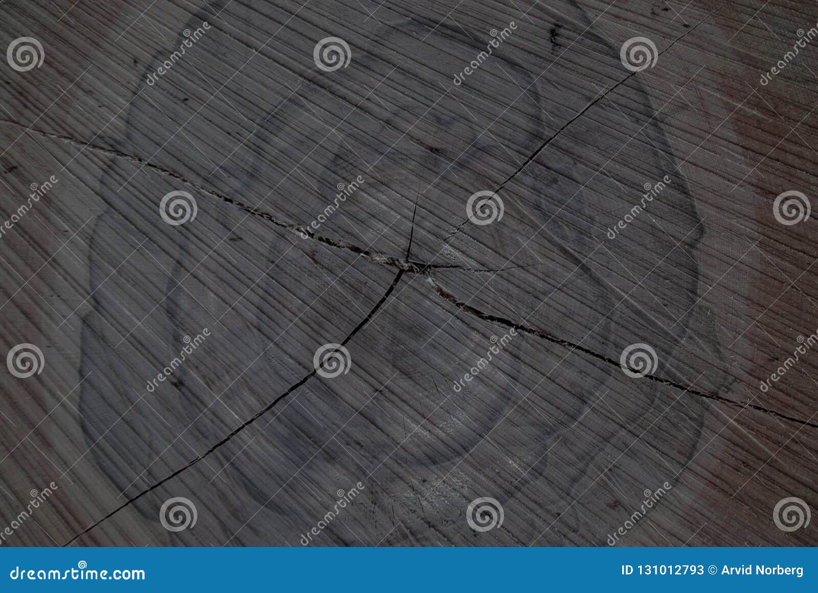 The inside of a log stock image. Image of surface, ring - 131012793