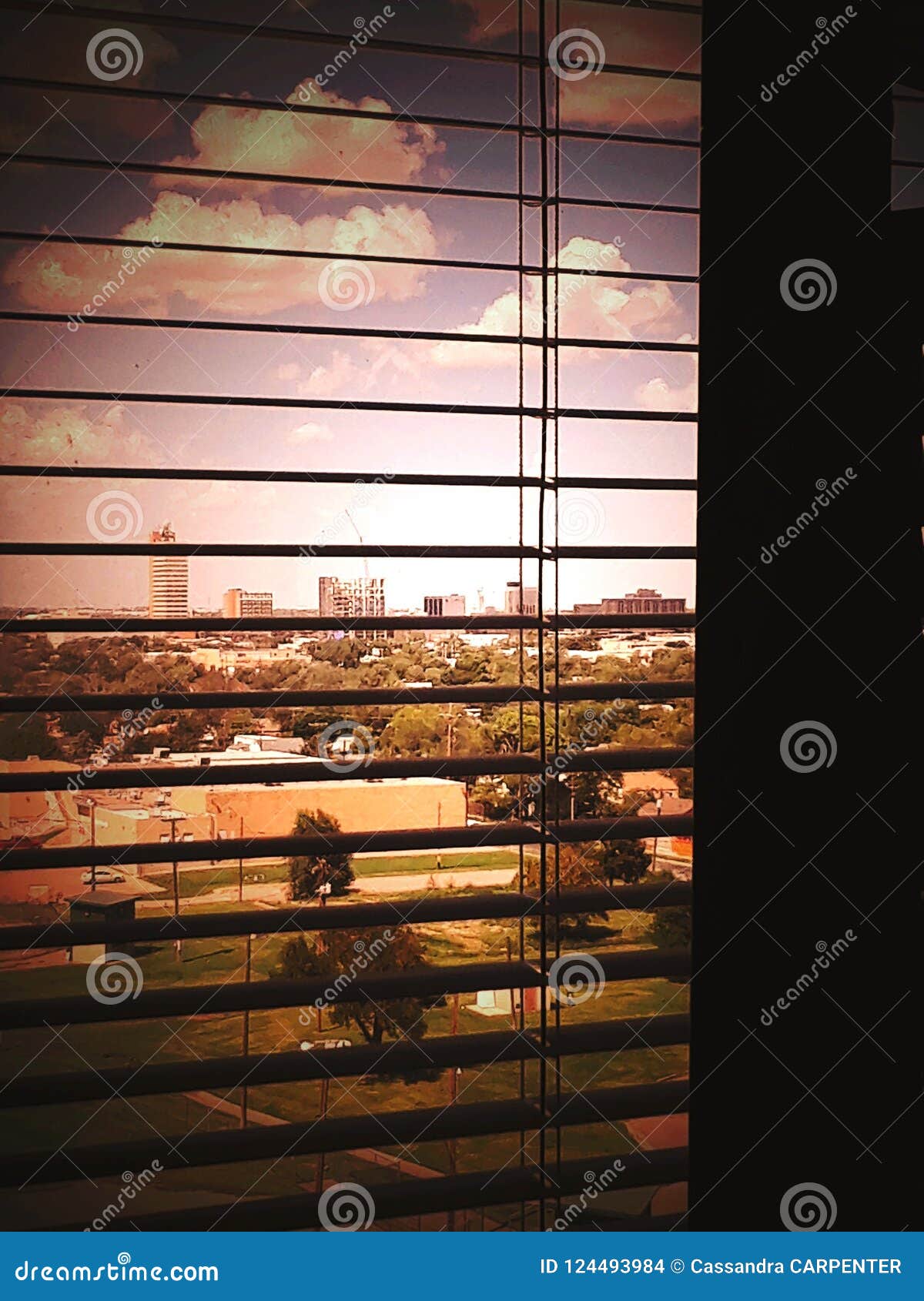 Inside looking out stock photo. Image of inside, blindedsunny - 124493984