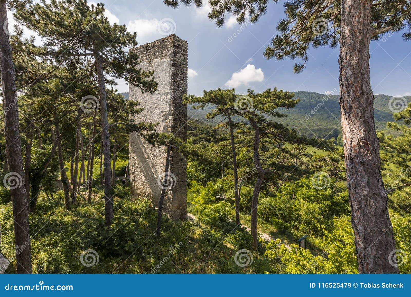 Moedling Castle in Austria stock image. Image of ages - 116525479