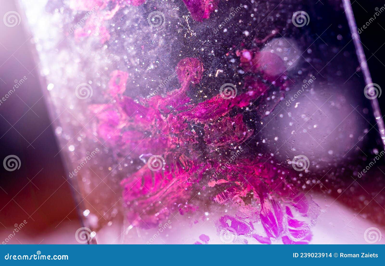 Inside Microscope View at Histology Glass Slide Stock Photo - Image of ...