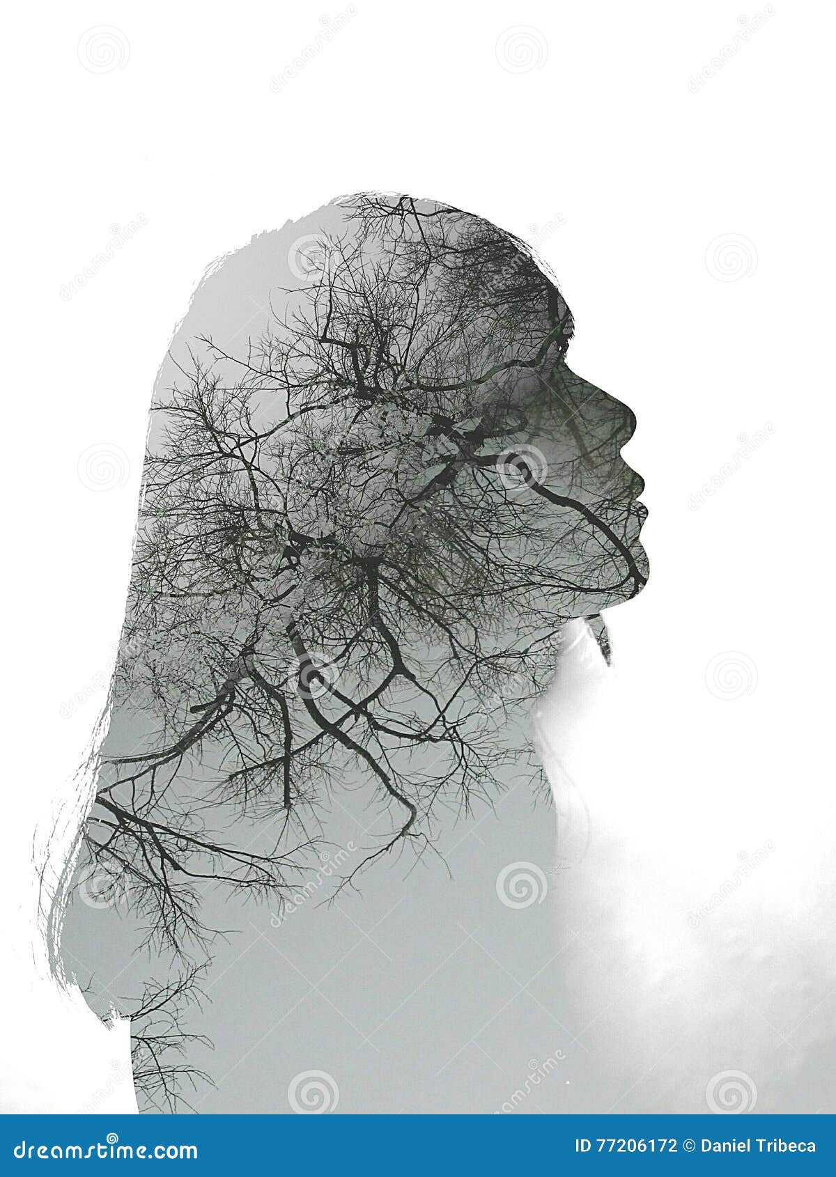 Inside mind stock photo. Image of isolated, background - 77206172