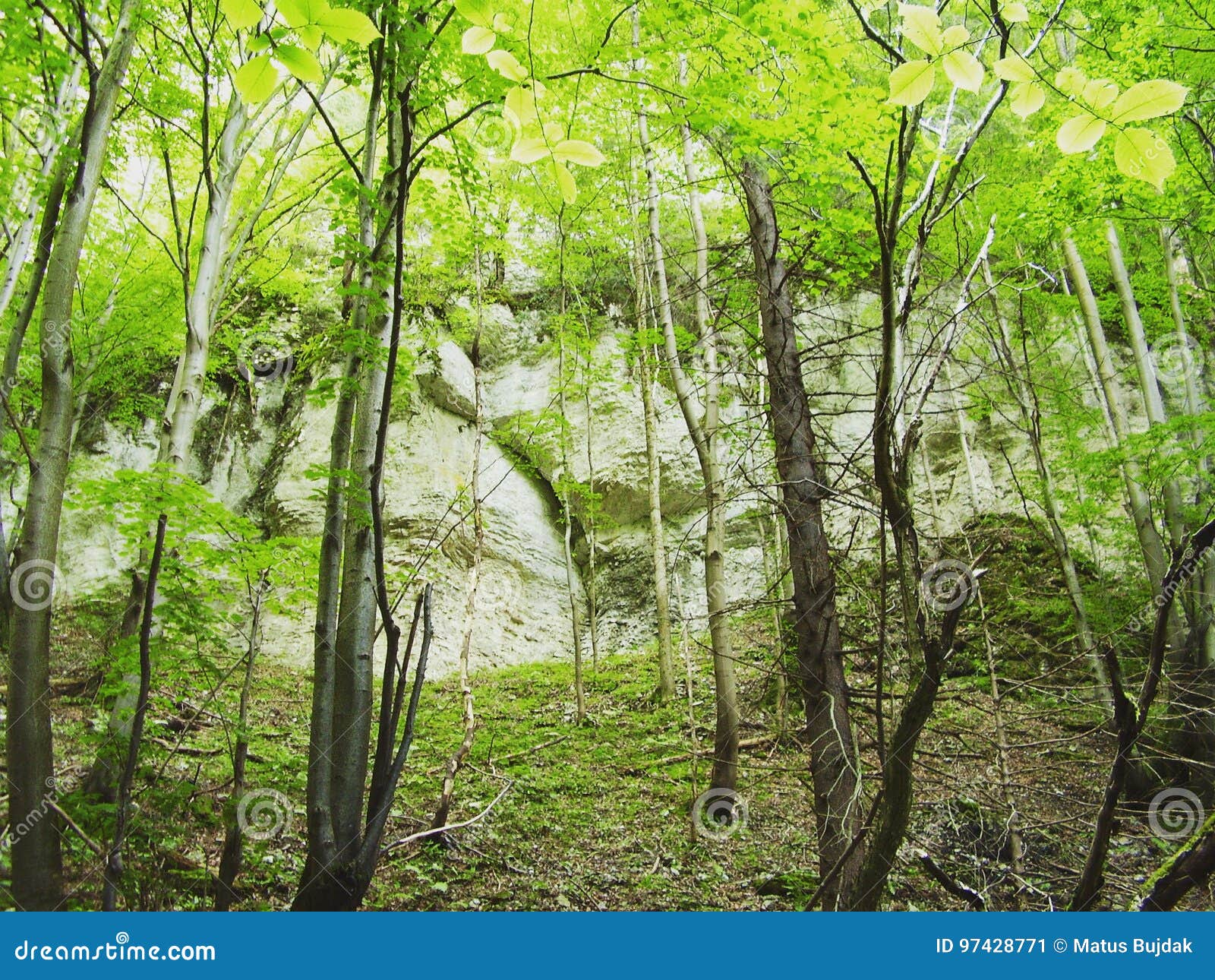 Inside the mountain stock image. Image of waterfall, mountain - 97428771
