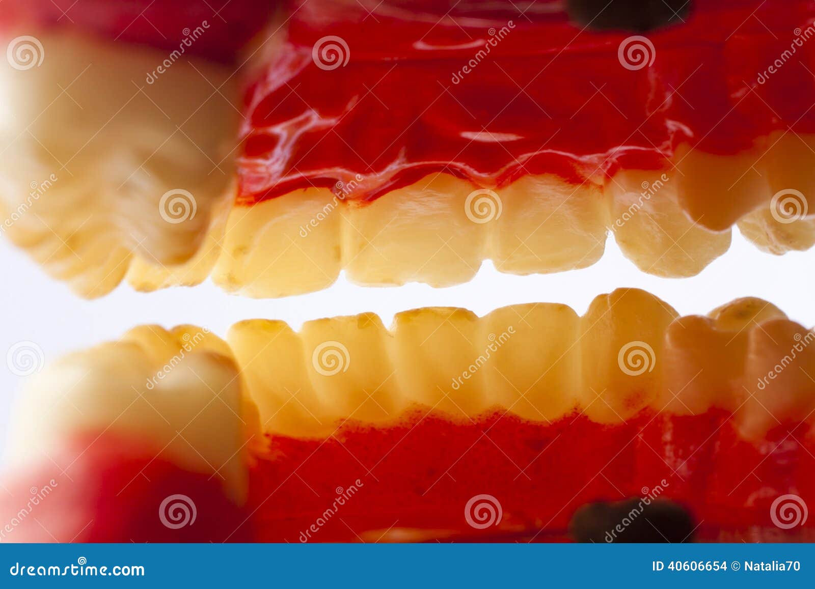Inside Mouth stock photo. Image of horizontal, medicine - 40606654