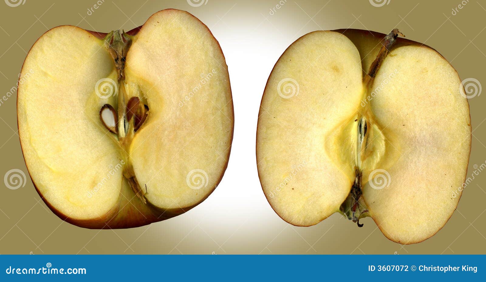 Inside of an old apple stock vector. Illustration of seed - 3607072