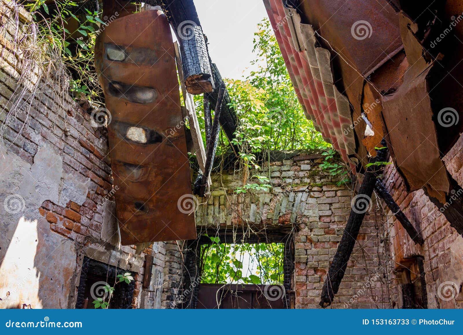Inside An Old Brick House With A Collapsed Roof After A Fire, Thickets ...