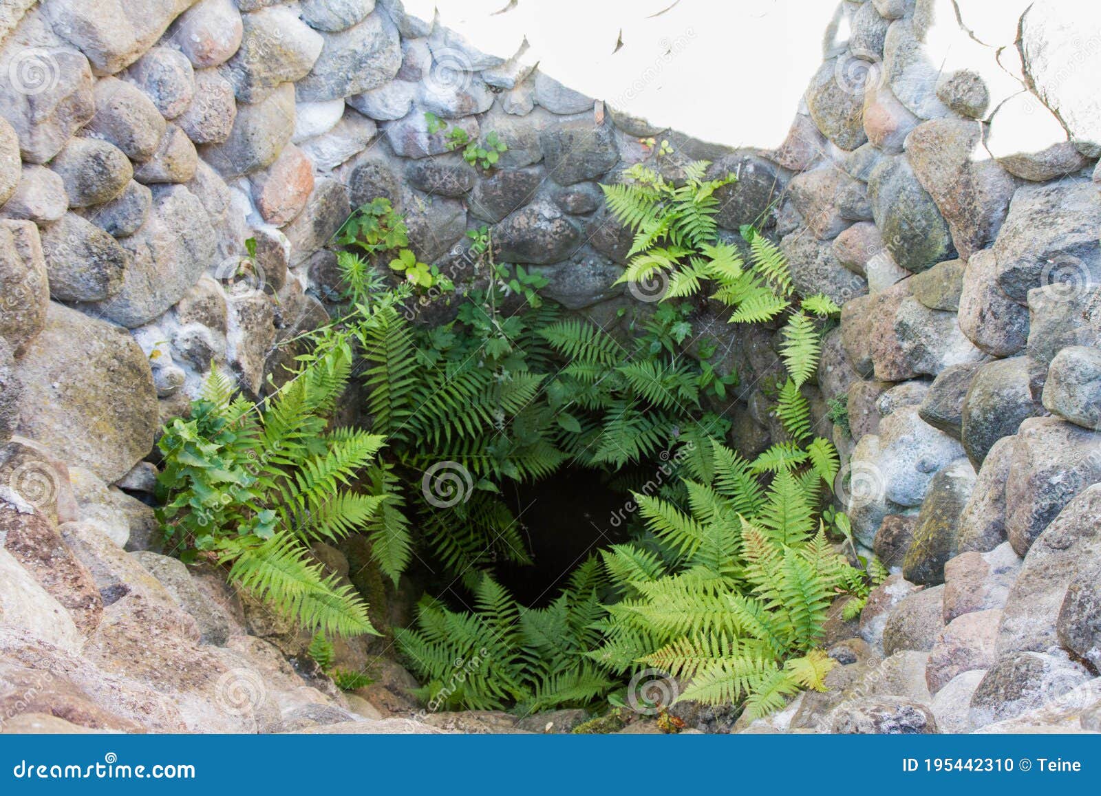 Inside of an old well stock photo. Image of outdoor - 195442310