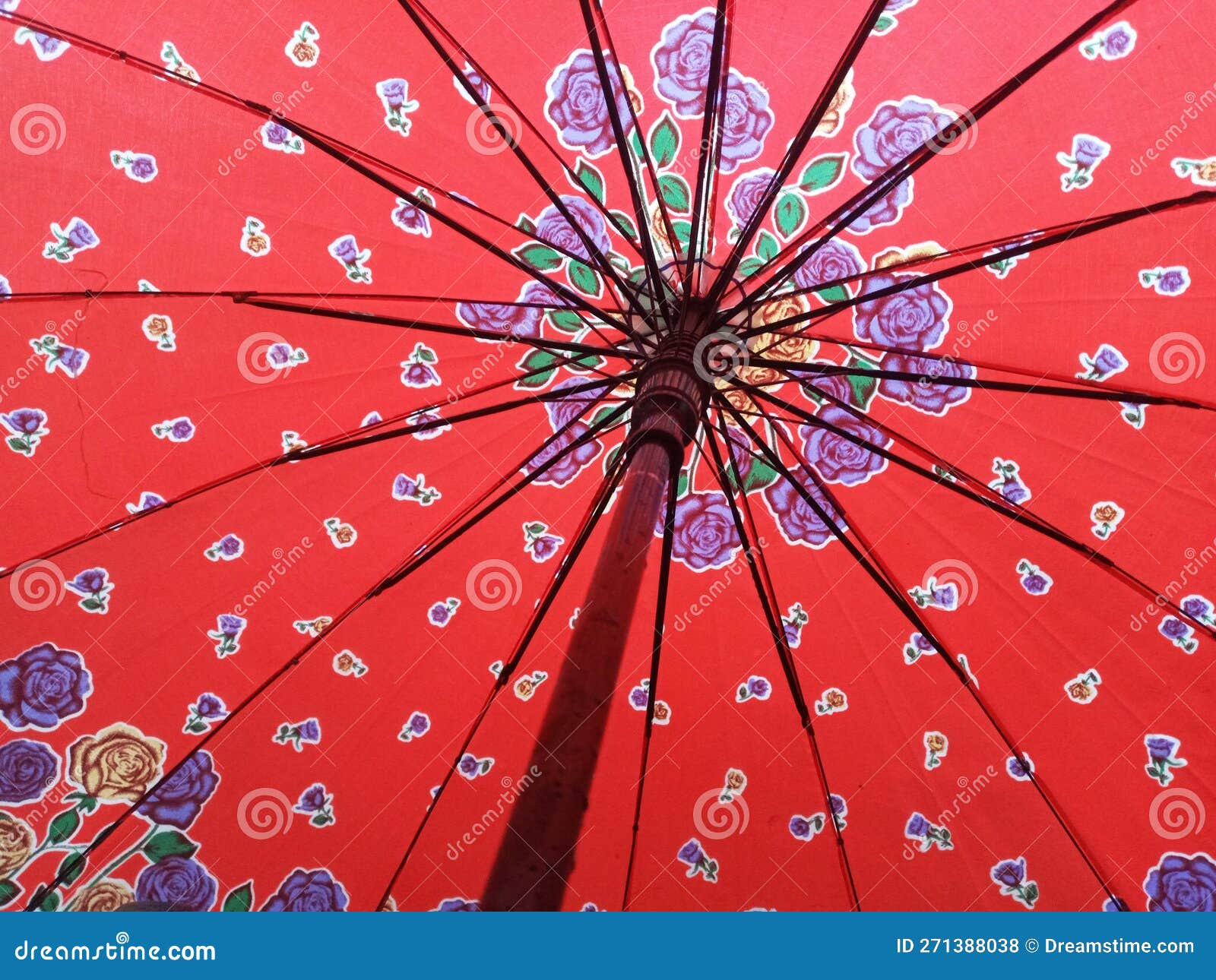 Inside Part of Red Umbrella Stock Photo - Image of tree, pattern: 271388038