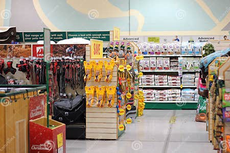 Inside a pet store. editorial photo. Image of interior - 28280956
