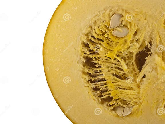 Inside a Pumpkin stock photo. Image of yellow, autumn - 12025110