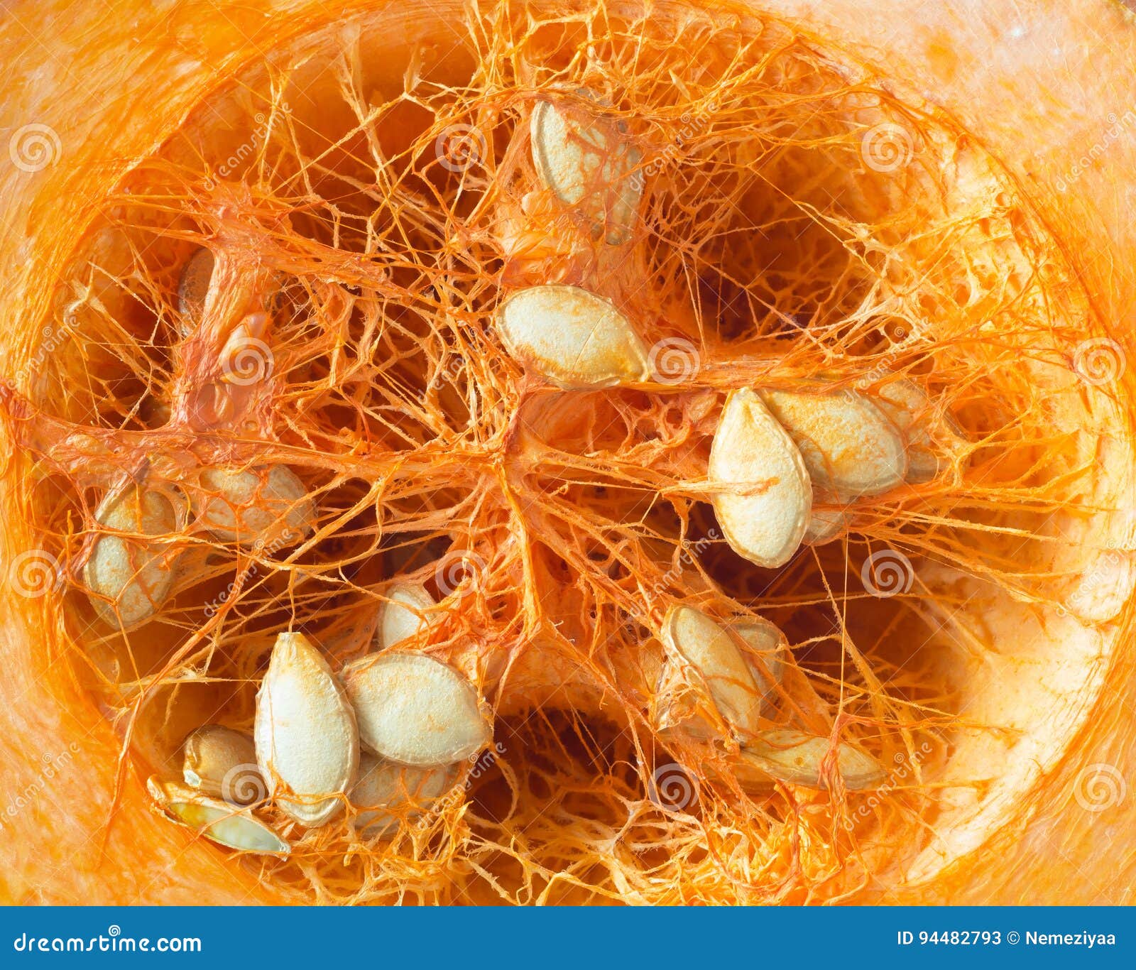 The inside of the pumpkin stock image. Image of texture - 94482793