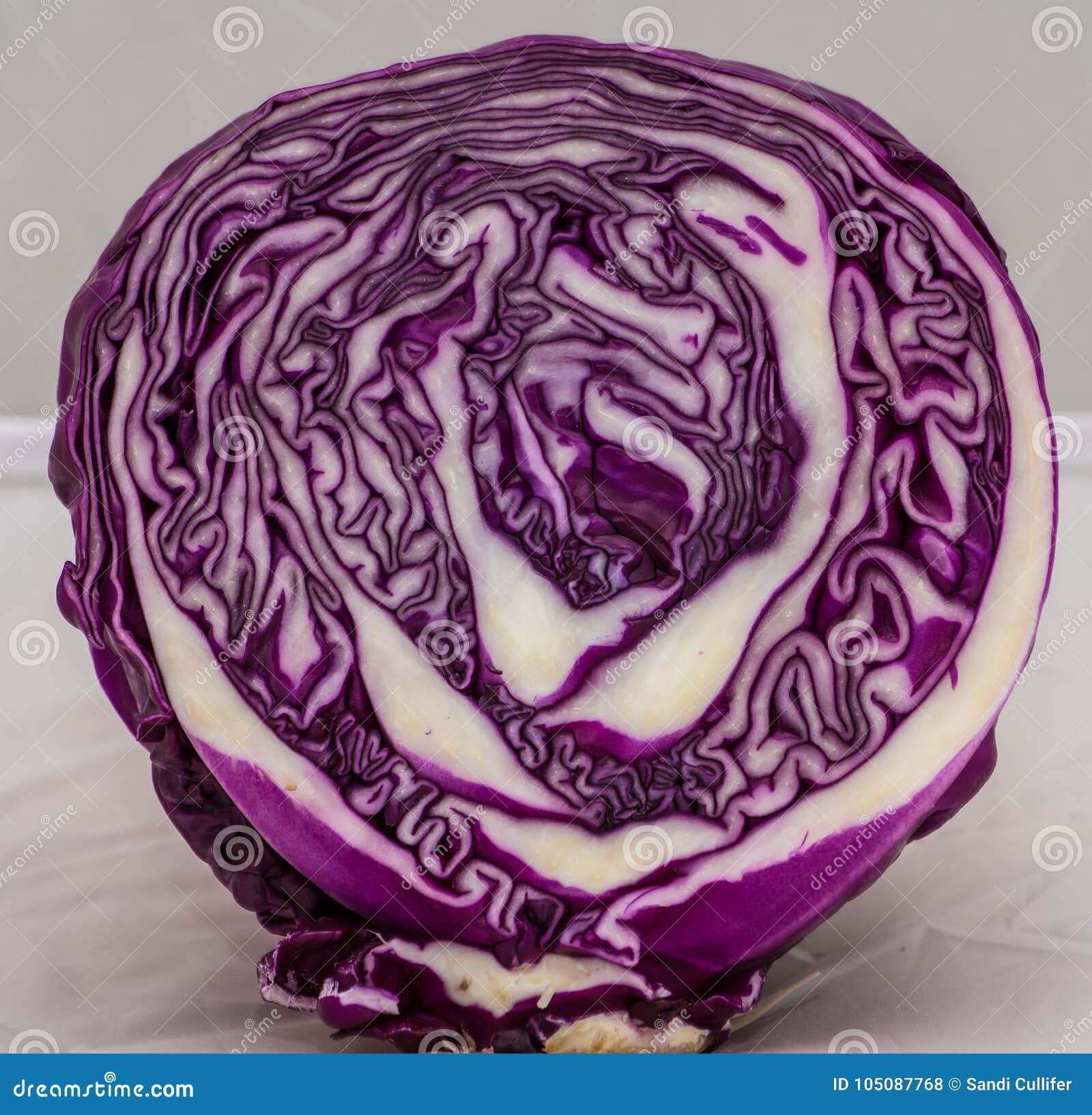 Designs Inside a Purple Cabbage Stock Photo - Image of macro, vegetable ...