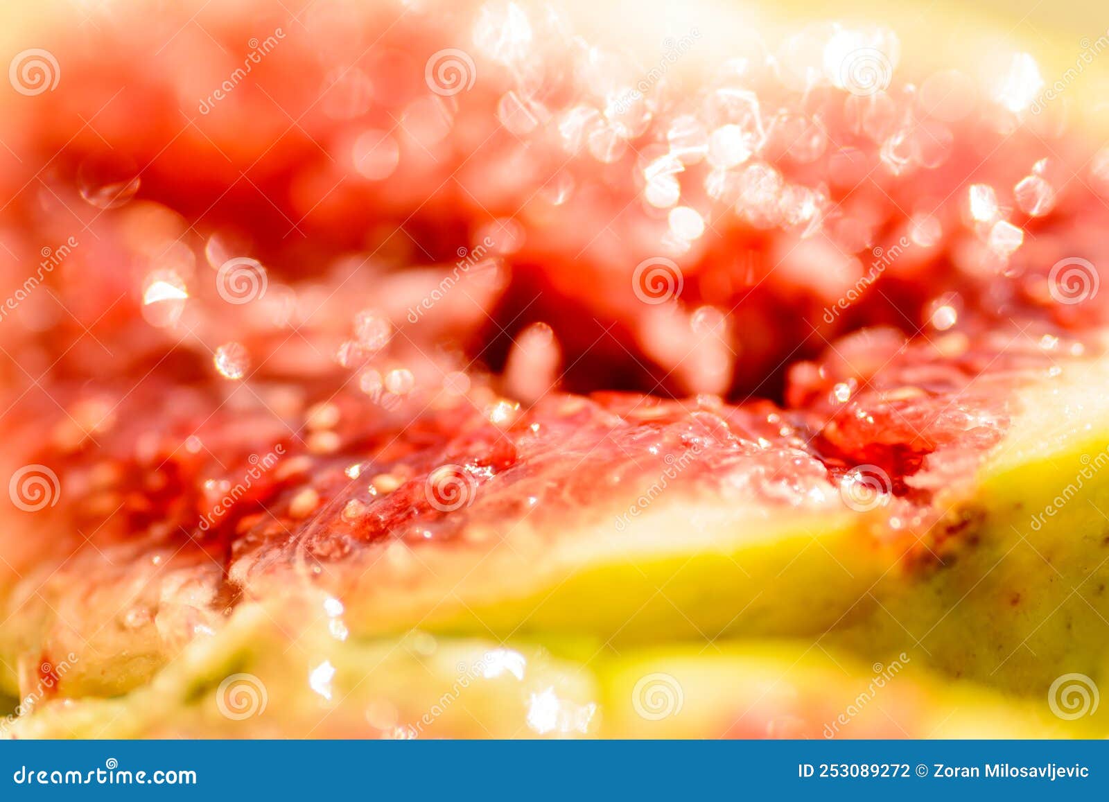 The Inside of a Ripe Fig Fruit Stock Photo - Image of juicy, macro ...