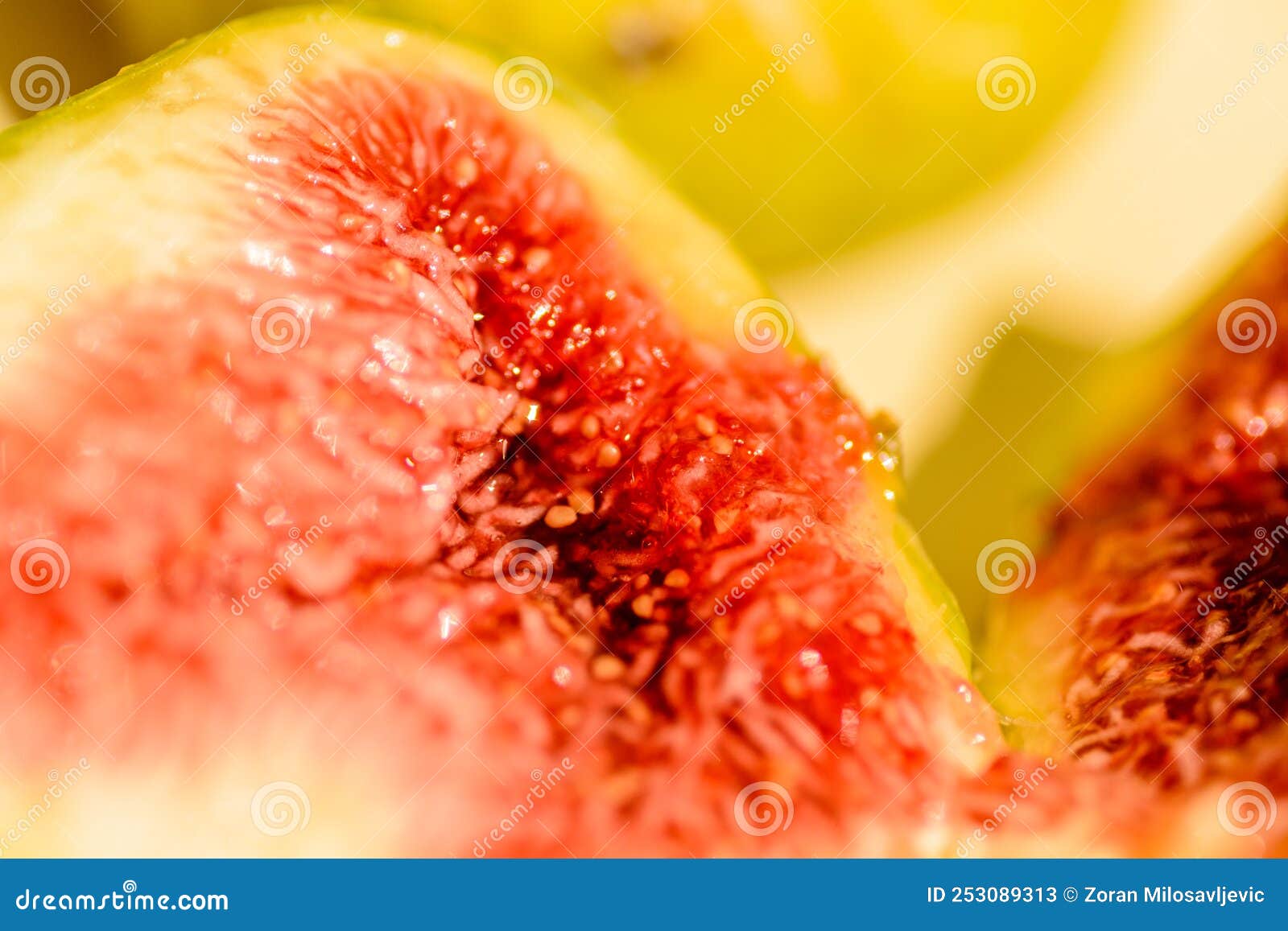 The Inside of a Ripe Fig Fruit Stock Image - Image of biology, ficus ...